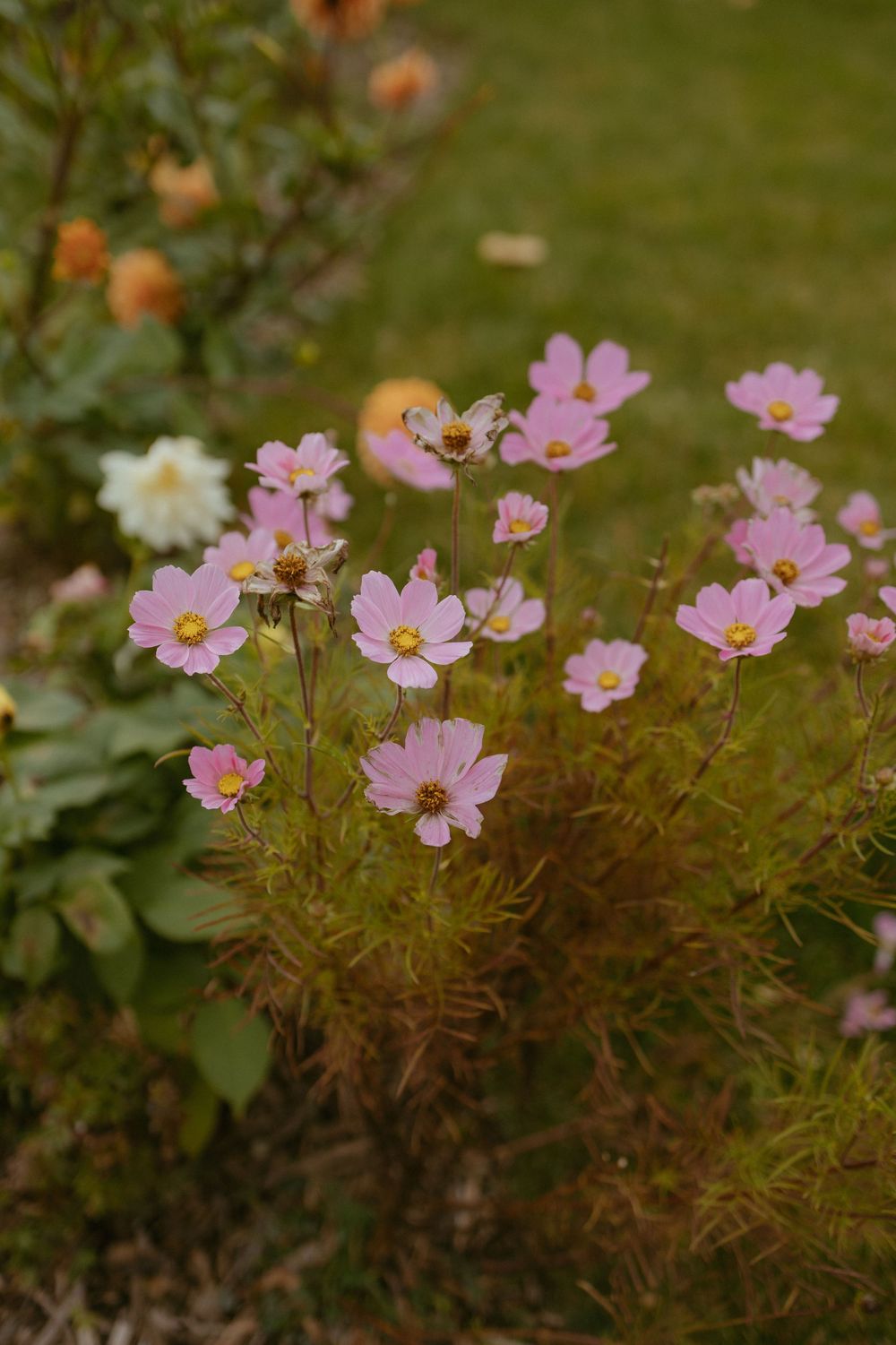 Microwedding at 100 Acre Wood in Prince Edward County | Alex & Greg ...