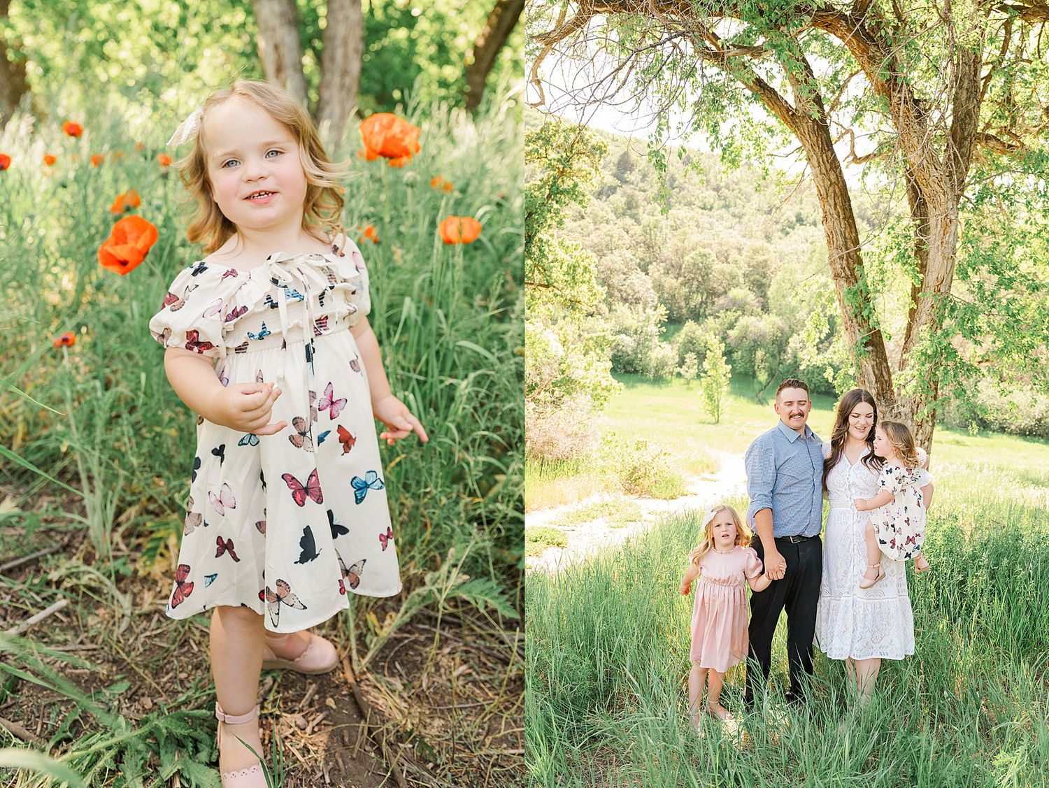 Mantua Poppies Photographer - Logan Utah Wedding and Family ...
