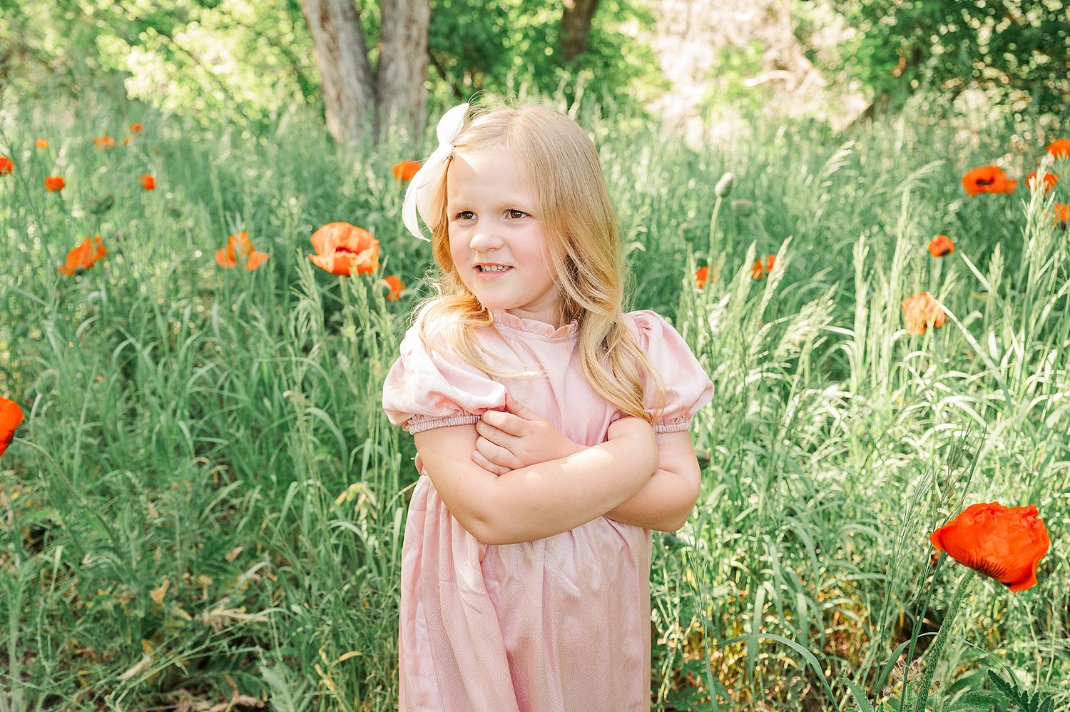 Mantua Poppies Photographer - Logan Utah Wedding and Family ...