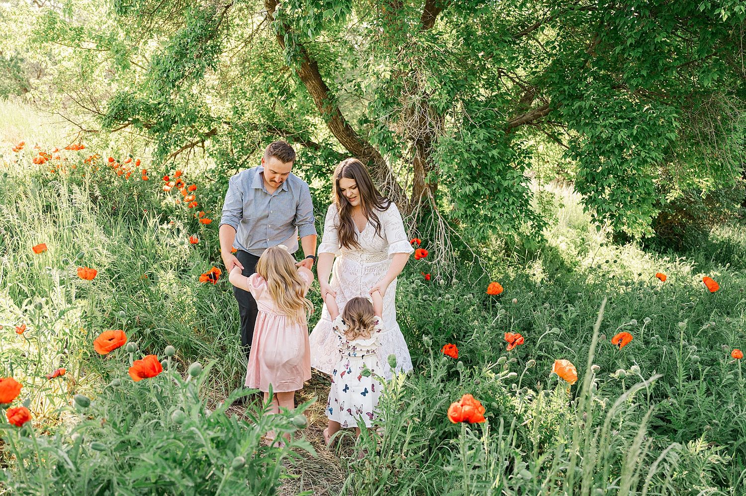 Mantua Poppies Photographer - Logan Utah Wedding and Family ...