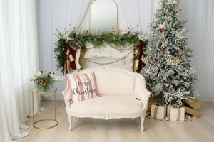 Christmas 2024 Mini Sessions - Laura Pulliam Photography