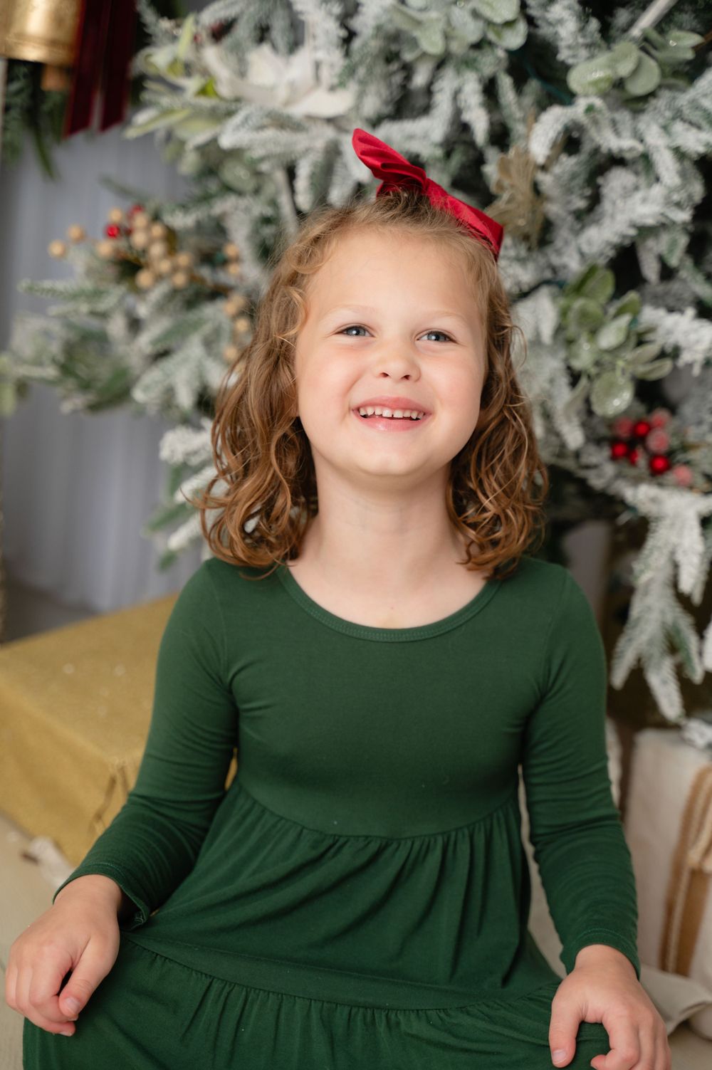 Christmas 2024 Mini Sessions - Laura Pulliam Photography