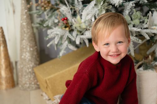 Christmas 2024 Mini Sessions - Laura Pulliam Photography