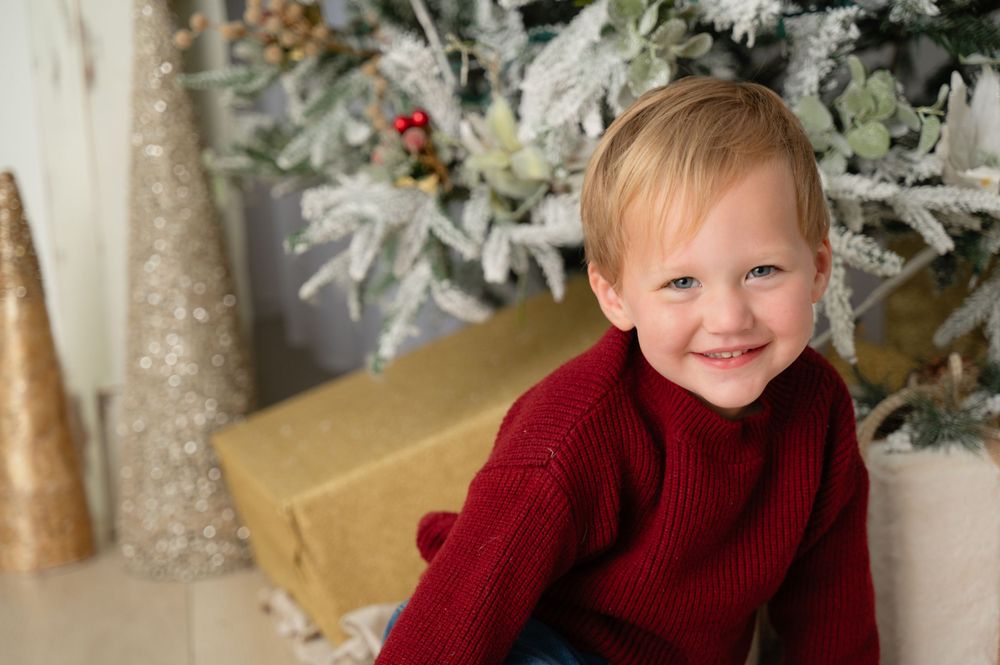 Christmas 2024 Mini Sessions - Laura Pulliam Photography