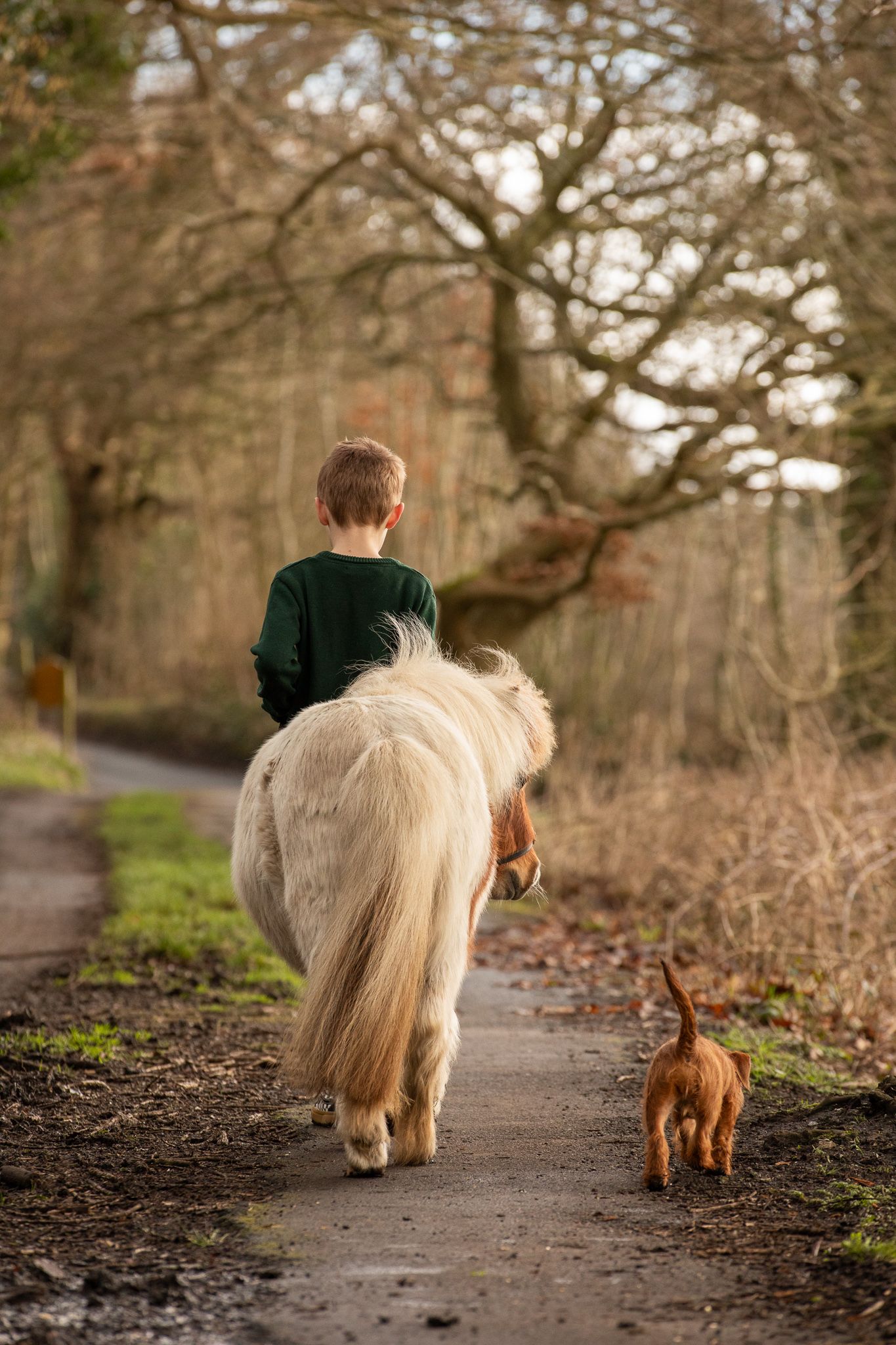The Butler Family - Imogen Moon ABIPP - Equine & Dog Photographer In ...
