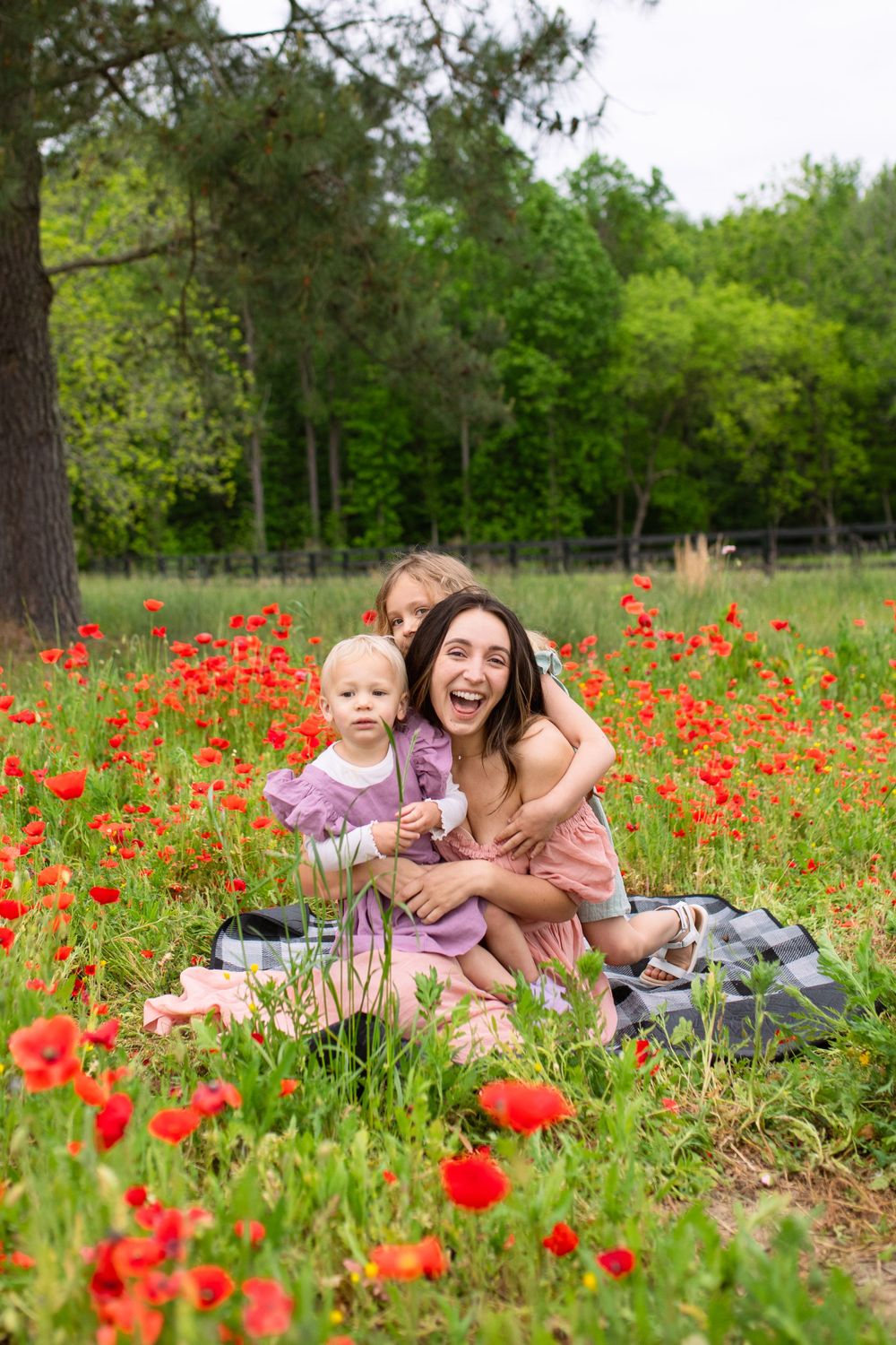 Favorite Photo Location: Juniper Creek Farm in Raleigh North Carolina - Woodmansee Photo | Apex ...