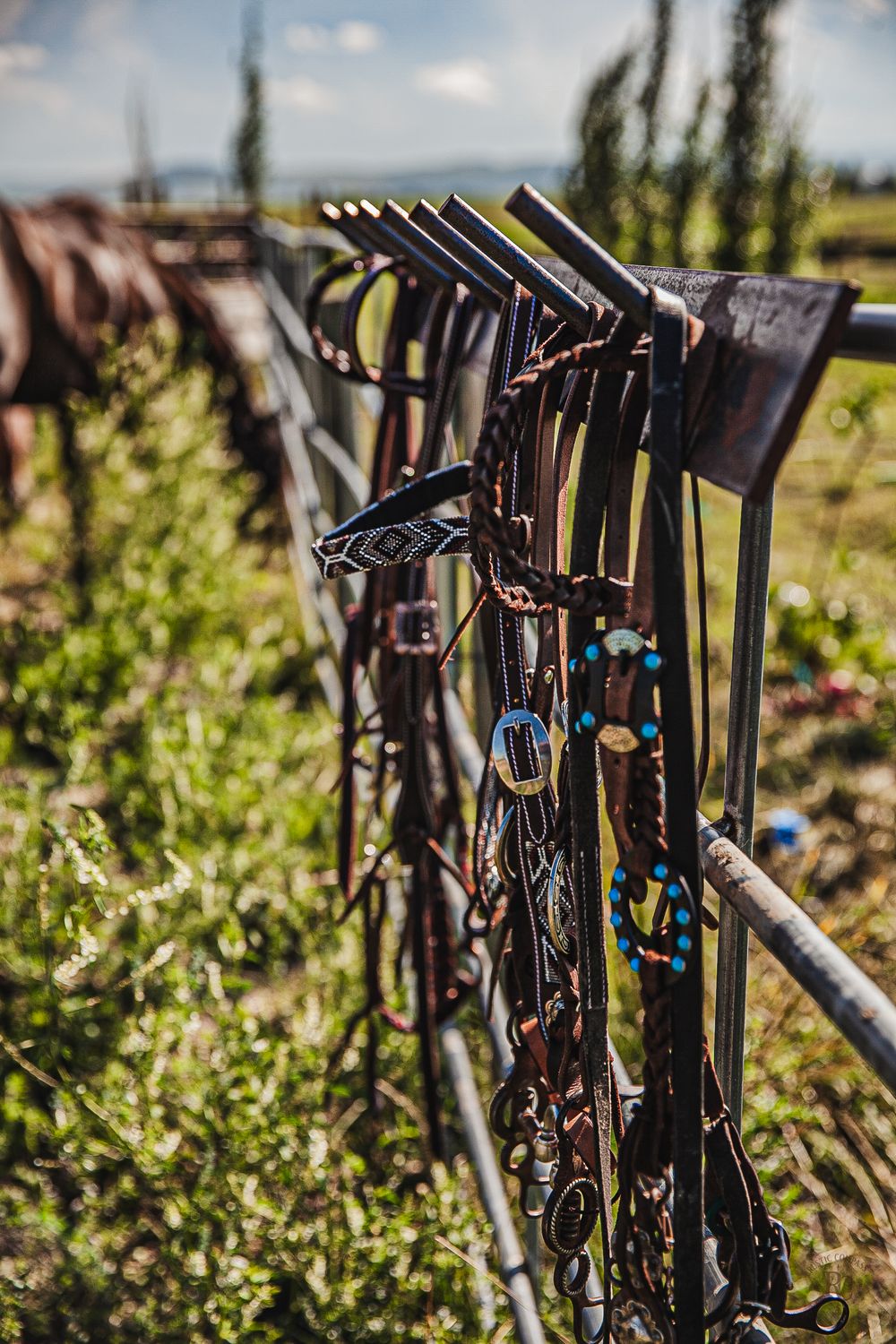 Photography Portfolio | Rustic Compass Imagery | Western & Ranch LIfe ...