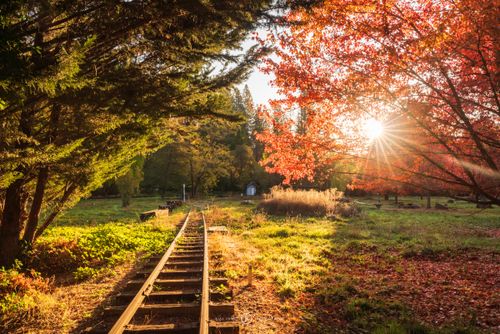 Nevada City Fall Color Map - Kial James Photography | Commercial ...