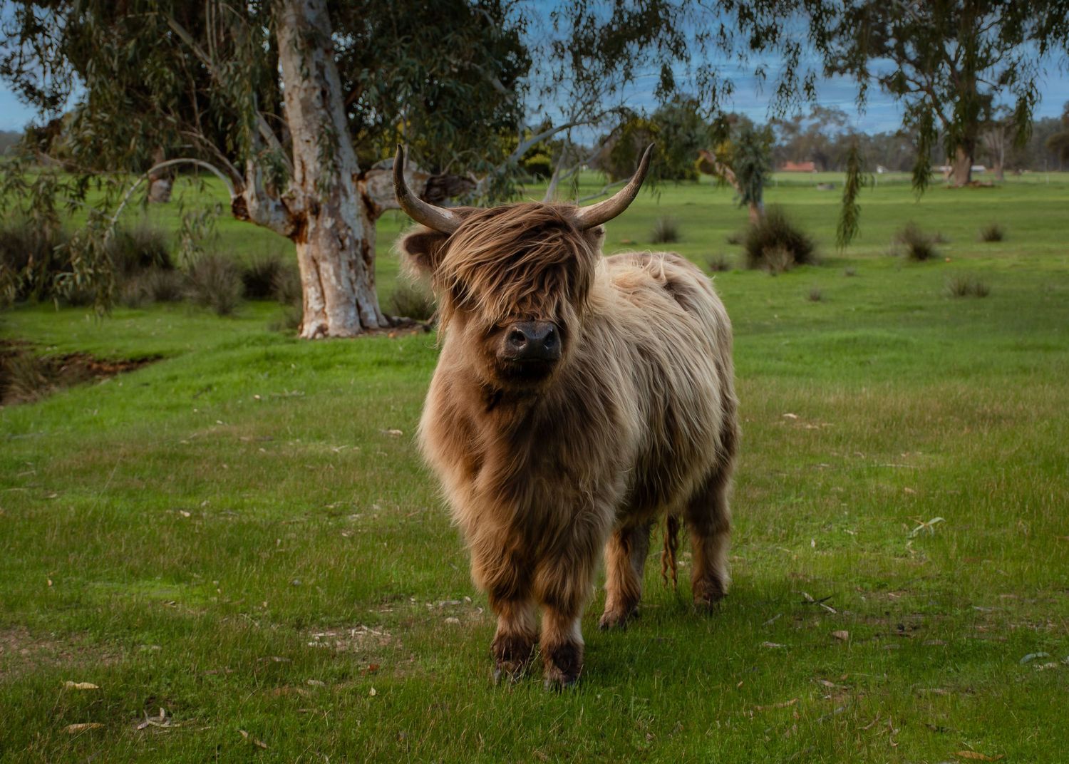 Private Farm Tour - Treasured Memories Photography