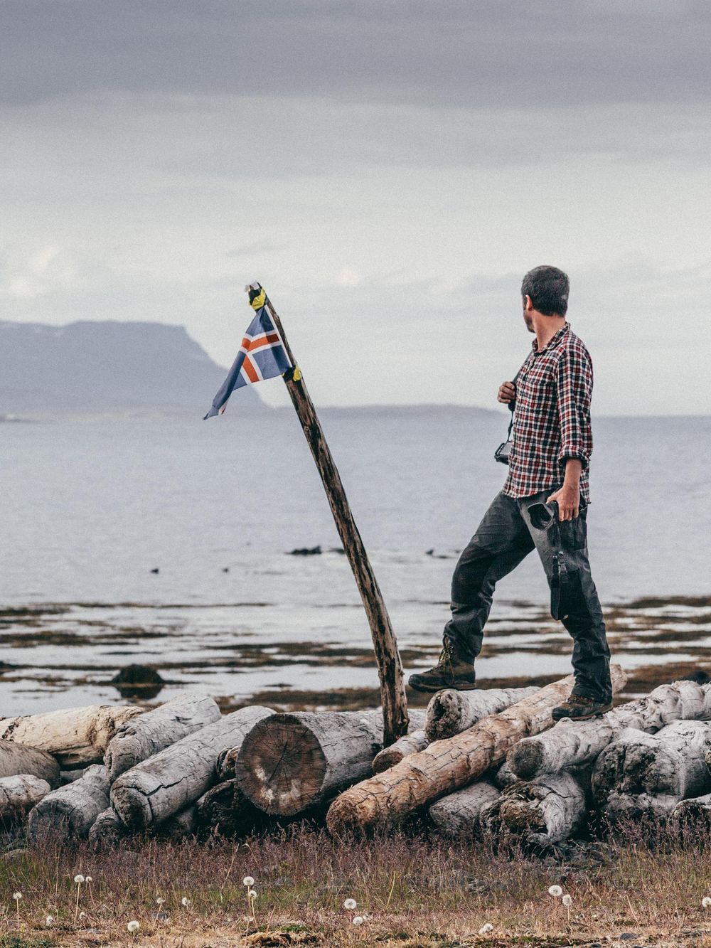 About Michael LEVY - MICHAEL LEVY