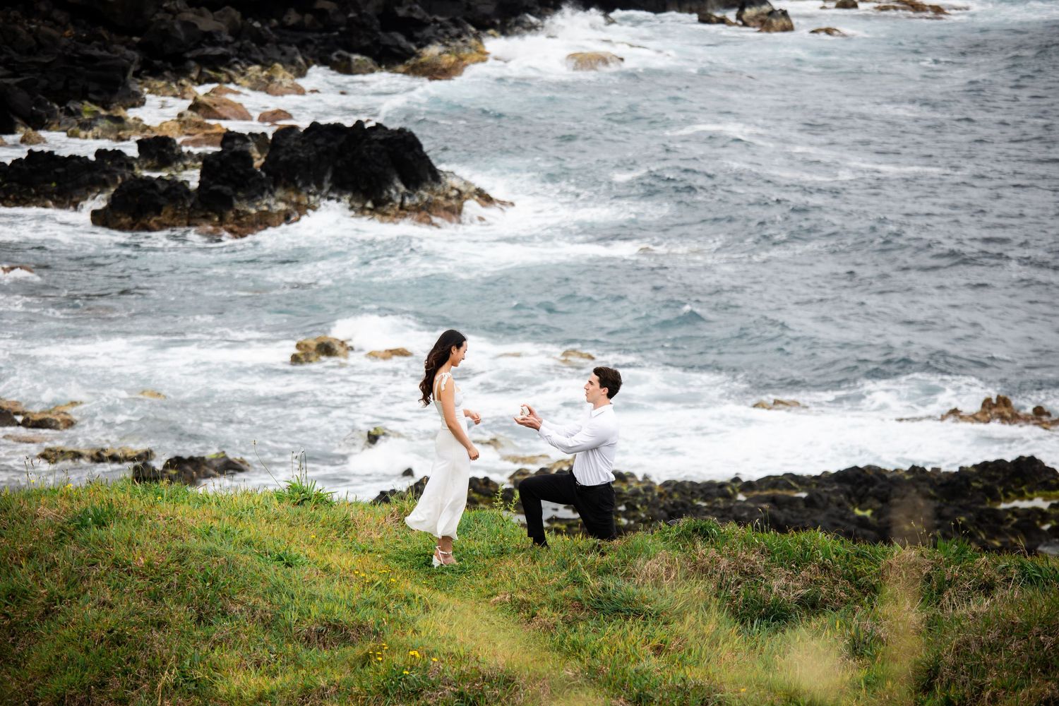 Proposal Photography - Ayla Harbich Photography - Timeless Moments in ...