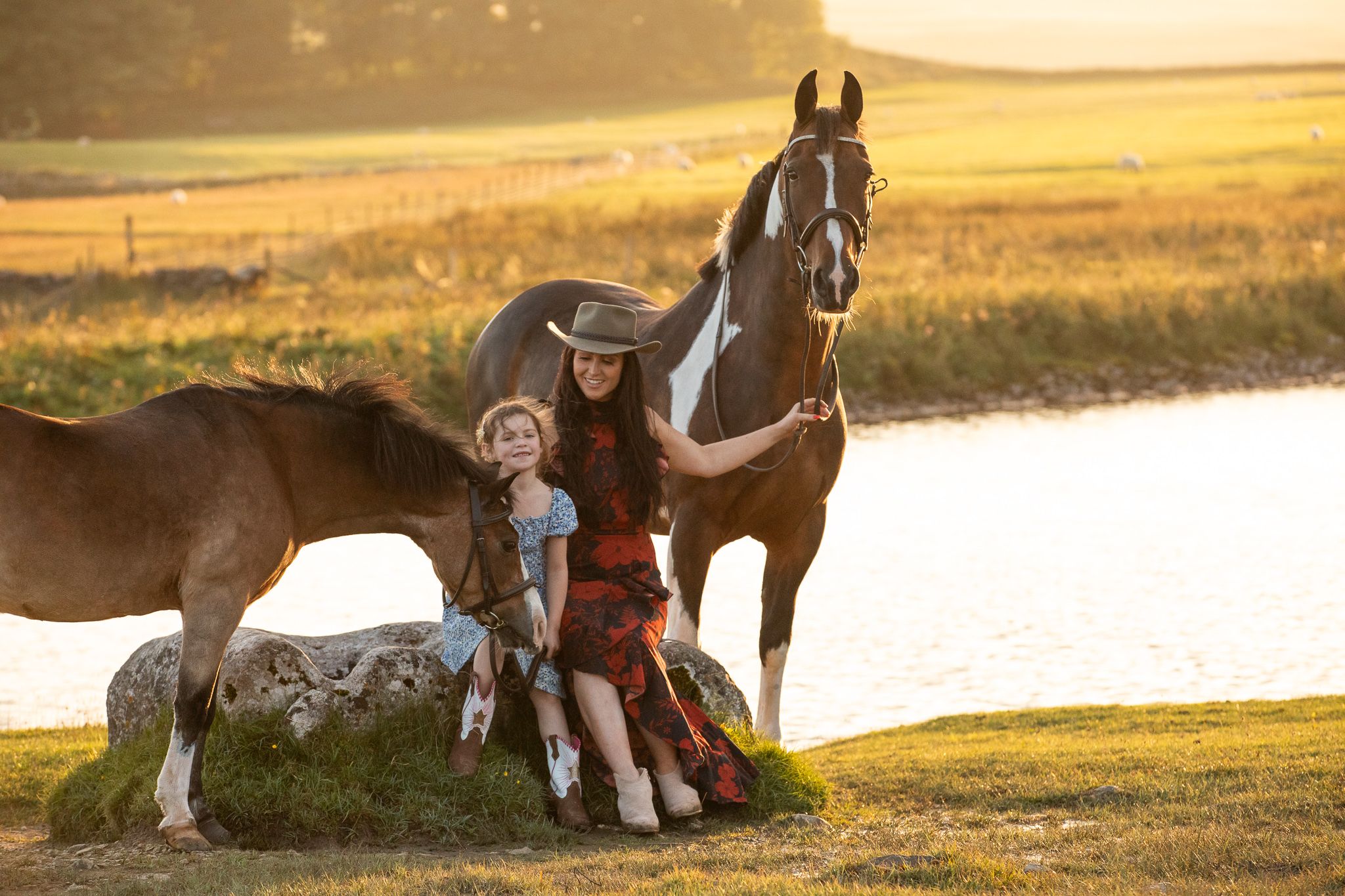 Bronwyn, Wilma, Mr Charles & Sparkles - Imogen Moon ABIPP - Equine ...