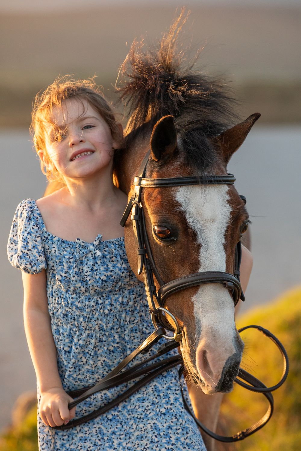 Bronwyn, Wilma, Mr Charles & Sparkles - Imogen Moon ABIPP - Equine ...