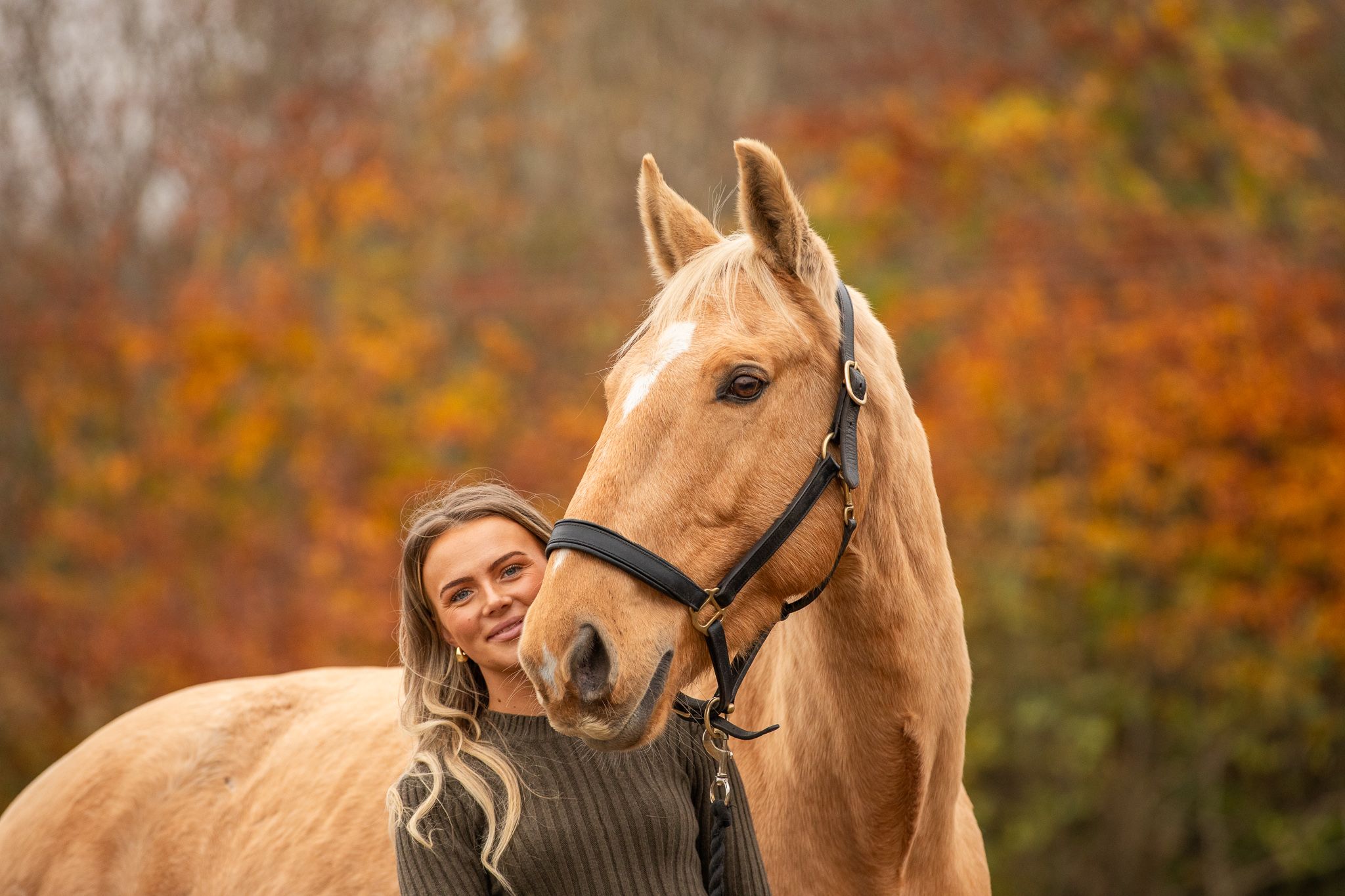 India & Miller - Imogen Moon ABIPP - Equine & Dog Photographer In ...