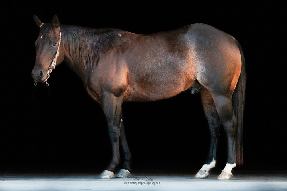 Maria Pate Photography