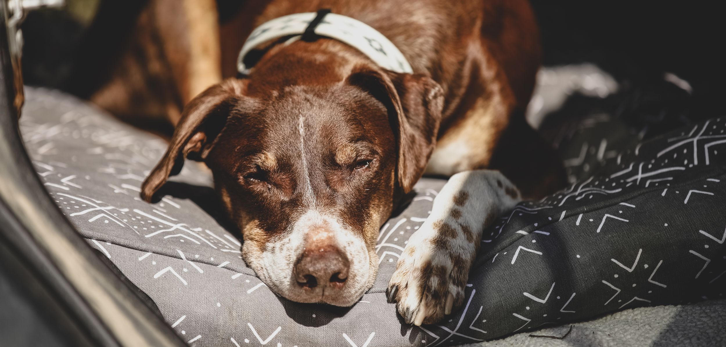 Tiffany Schulze Photography