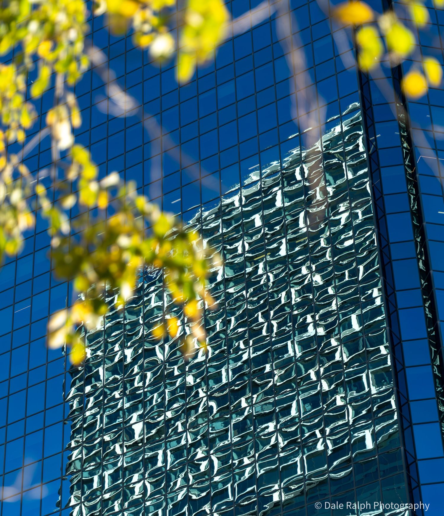 Pricing - Dale Ralph Photography