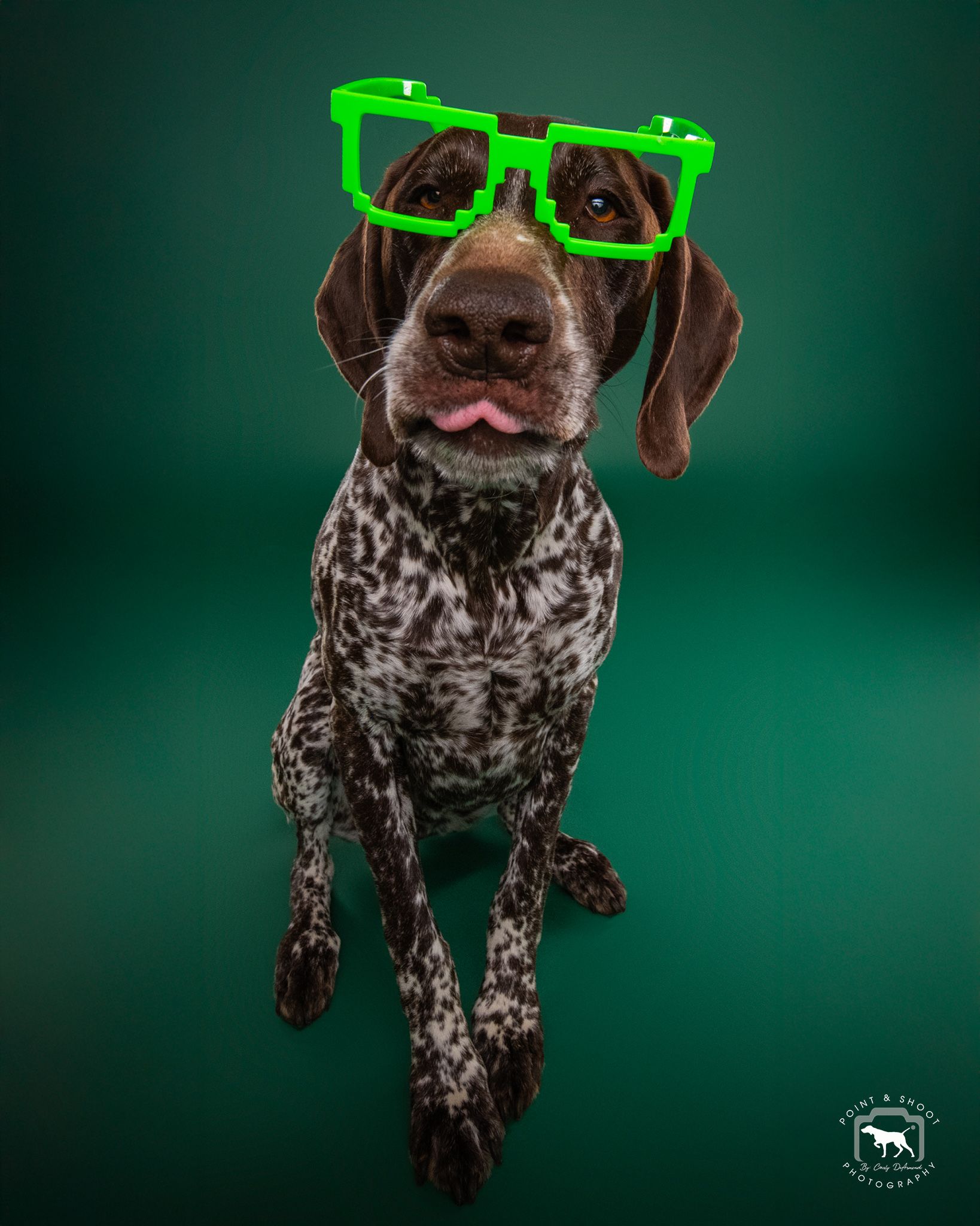 Booking Guide - Point & Shoot Photography