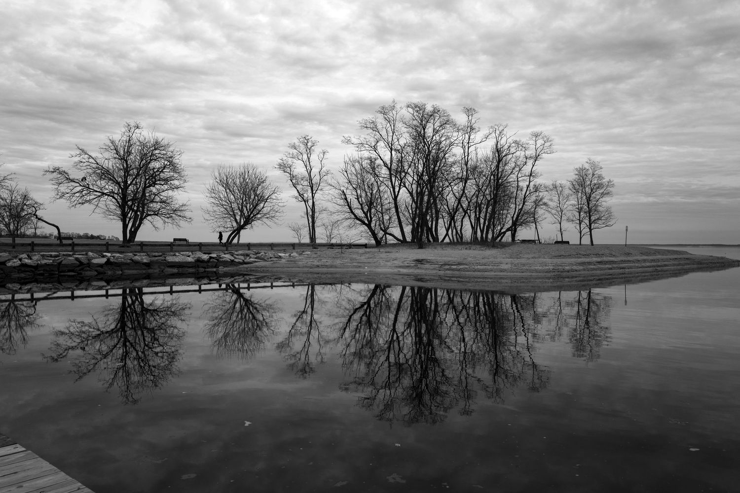 Black & White - Christopher Massa Photography