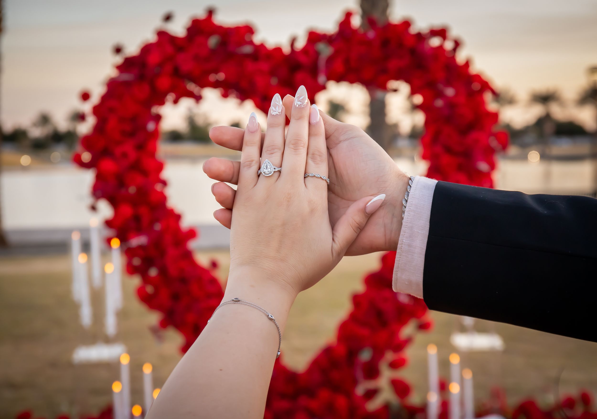 Rose Visual Captures