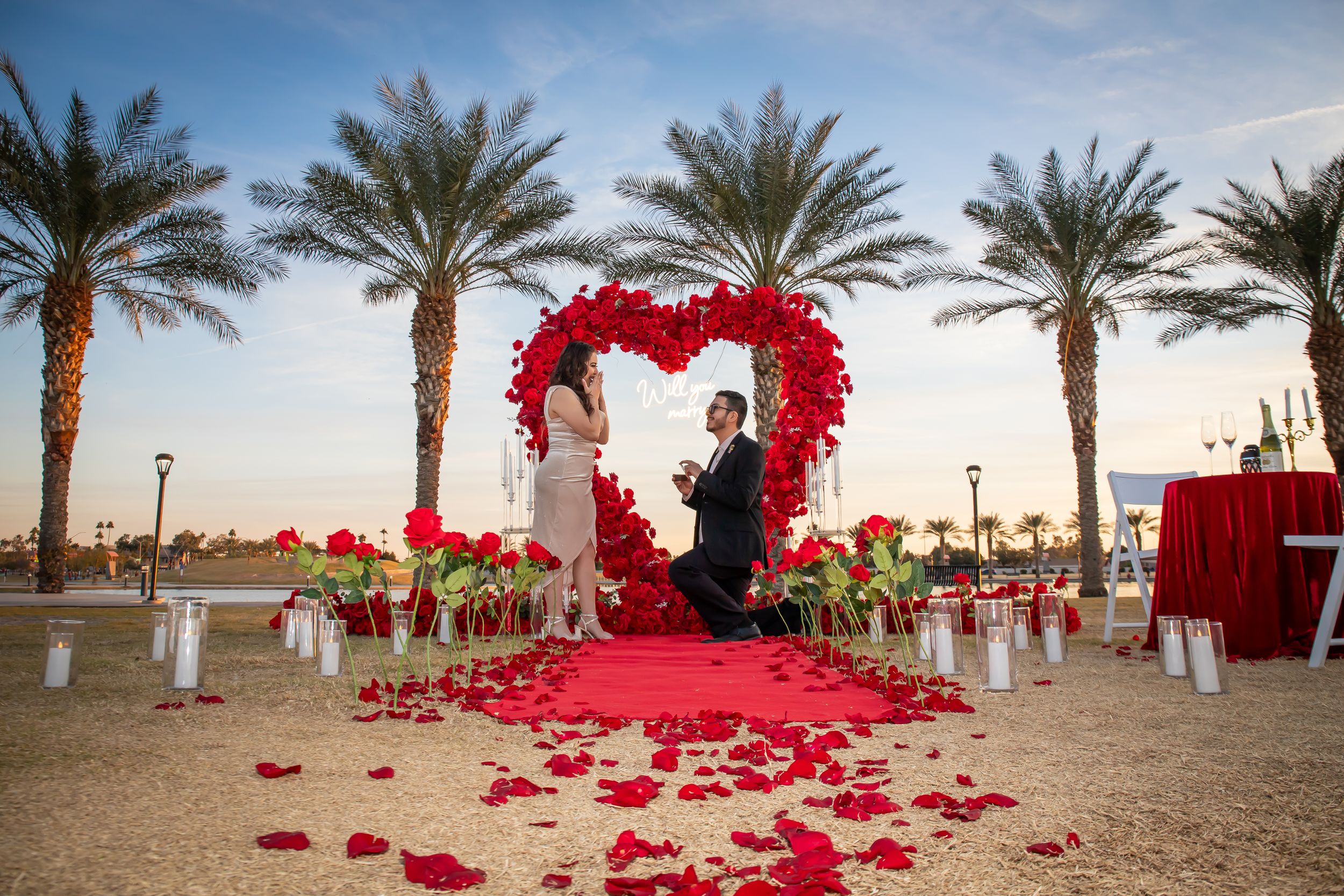 Rose Visual Captures