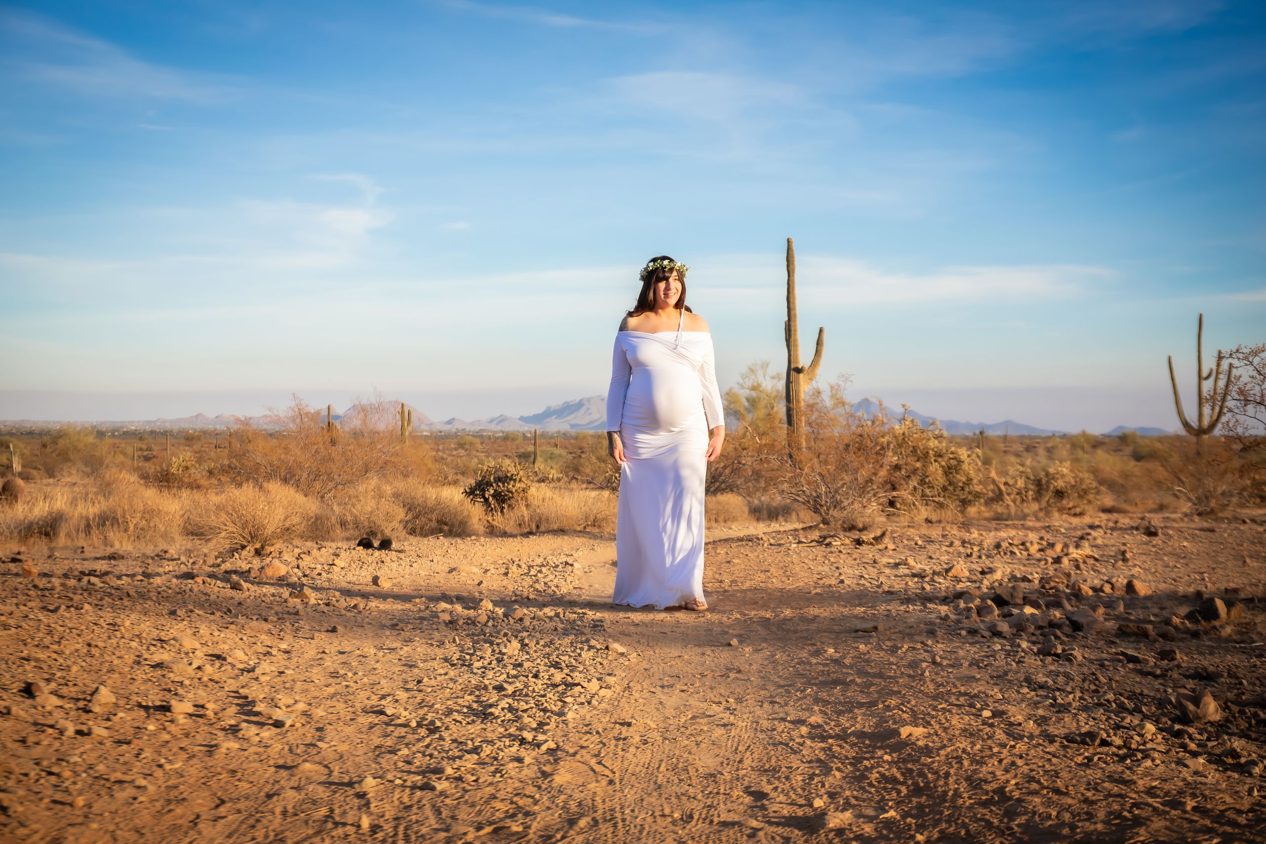 Rose Visual Captures