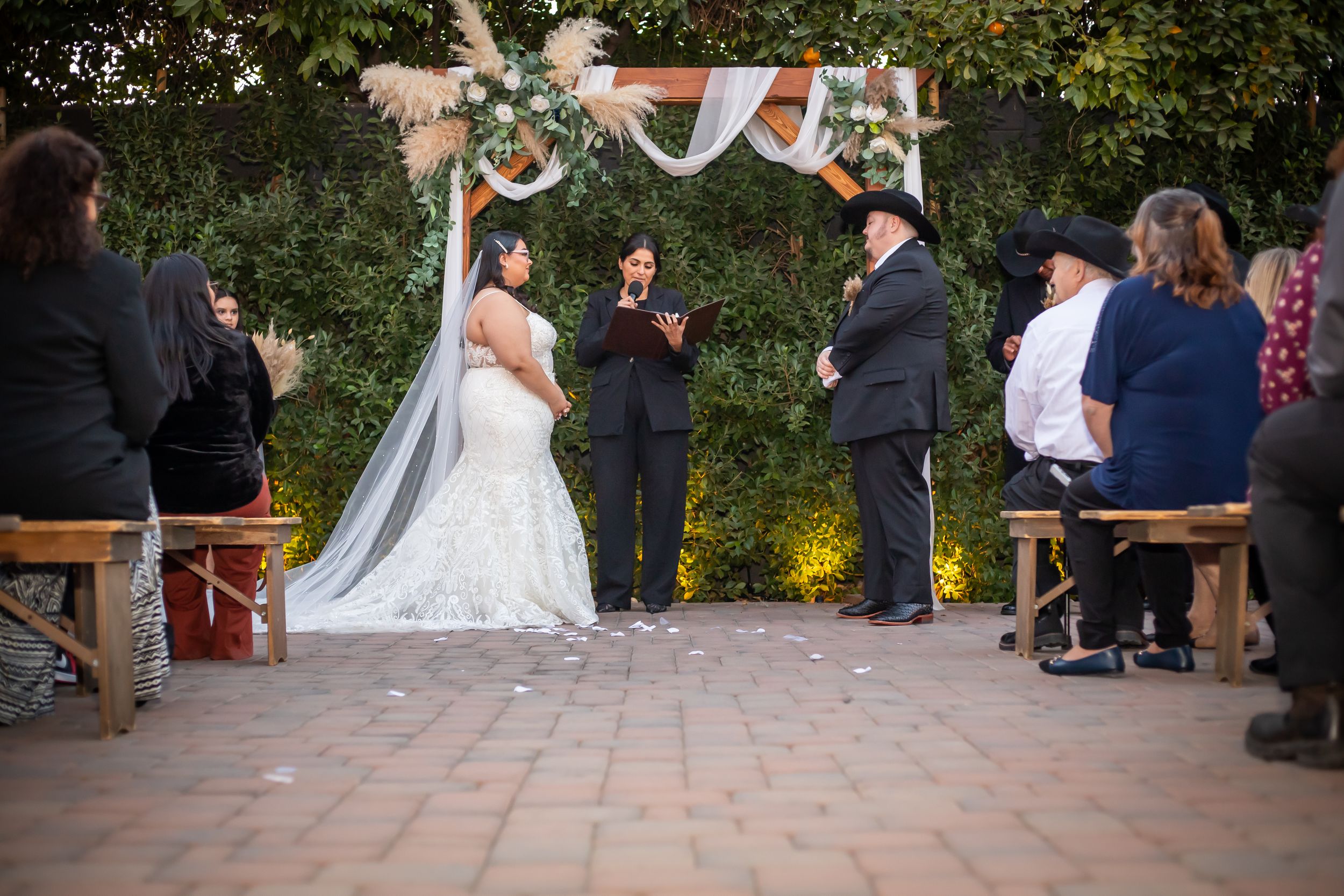 Rose Visual Captures