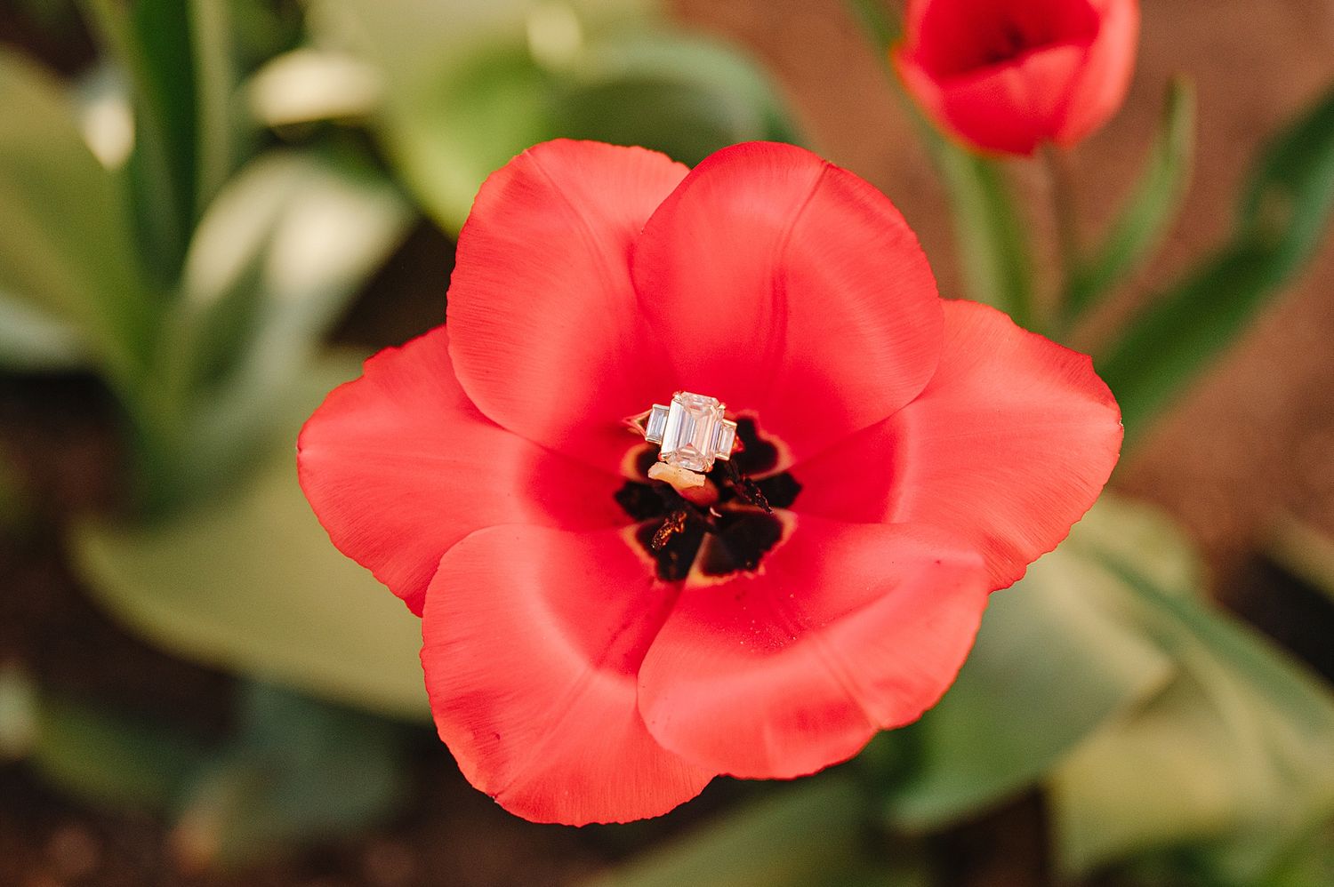 Spring Logan Utah Temple | Megan and Ammon Bridals - Logan Utah Wedding ...