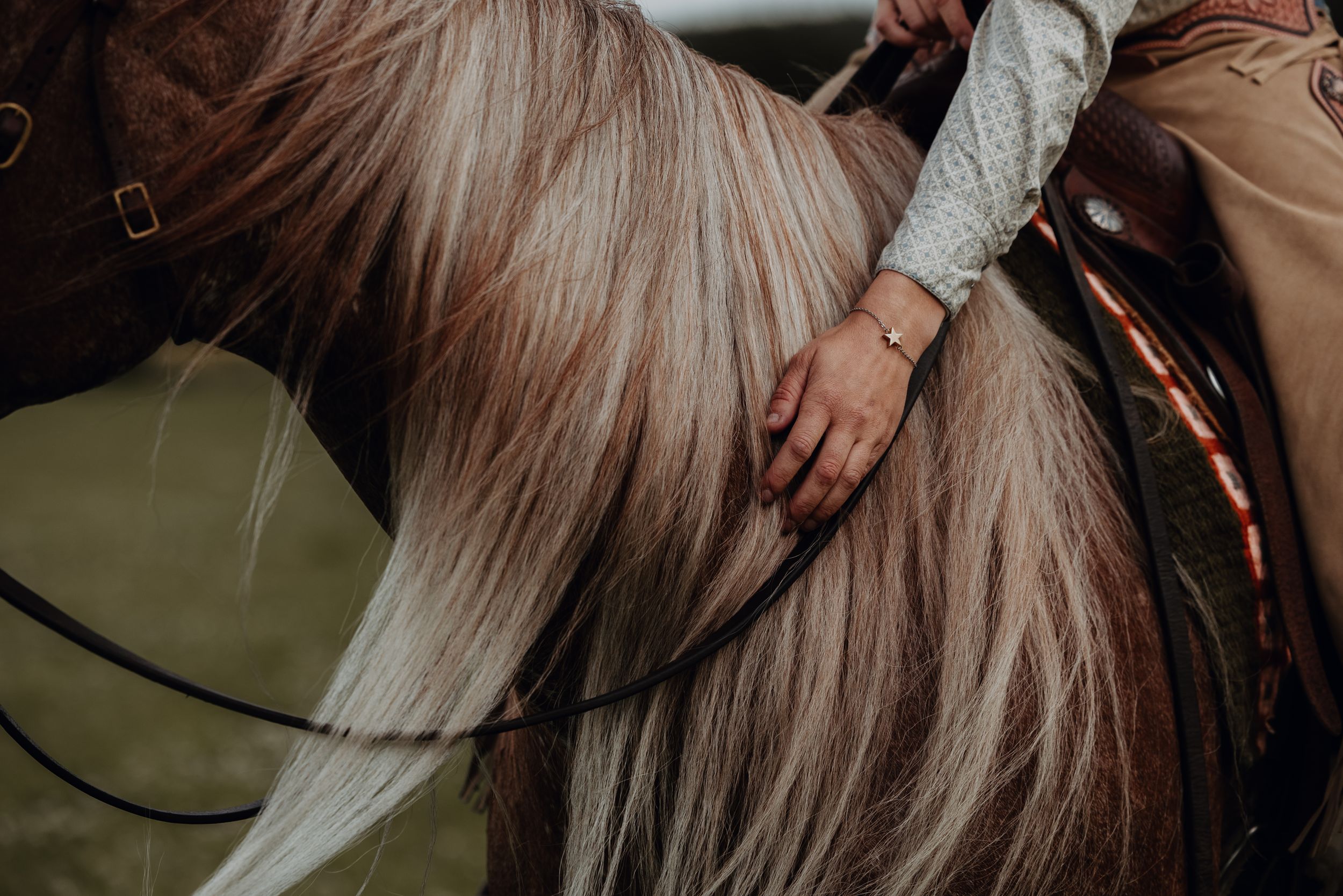 Turning Stormy Skies into Stunning Photos - Anna Archinger | Horse ...