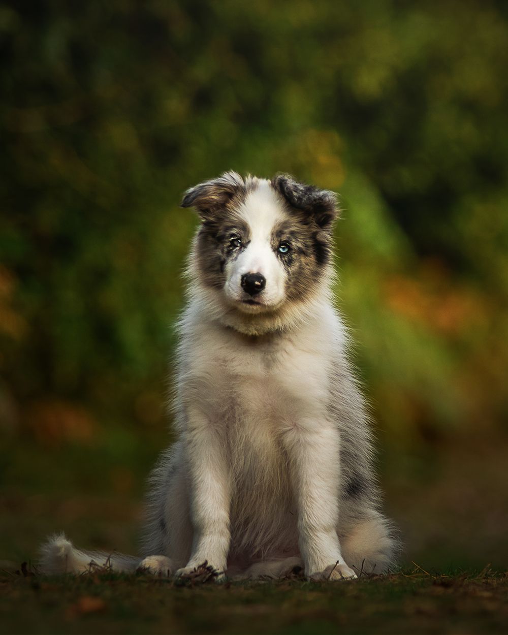 Andy Pull Photography