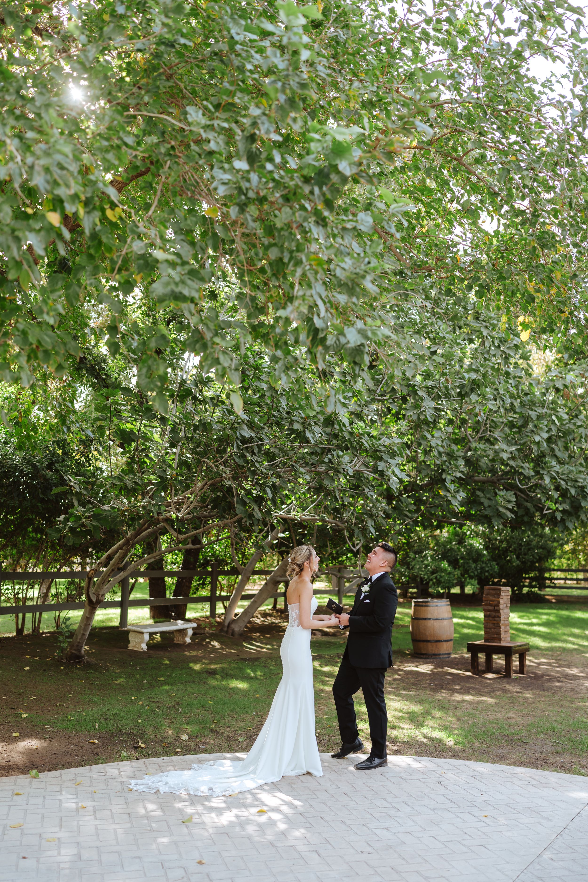 Arizona Wedding Photographer - Andrea Neff Photography