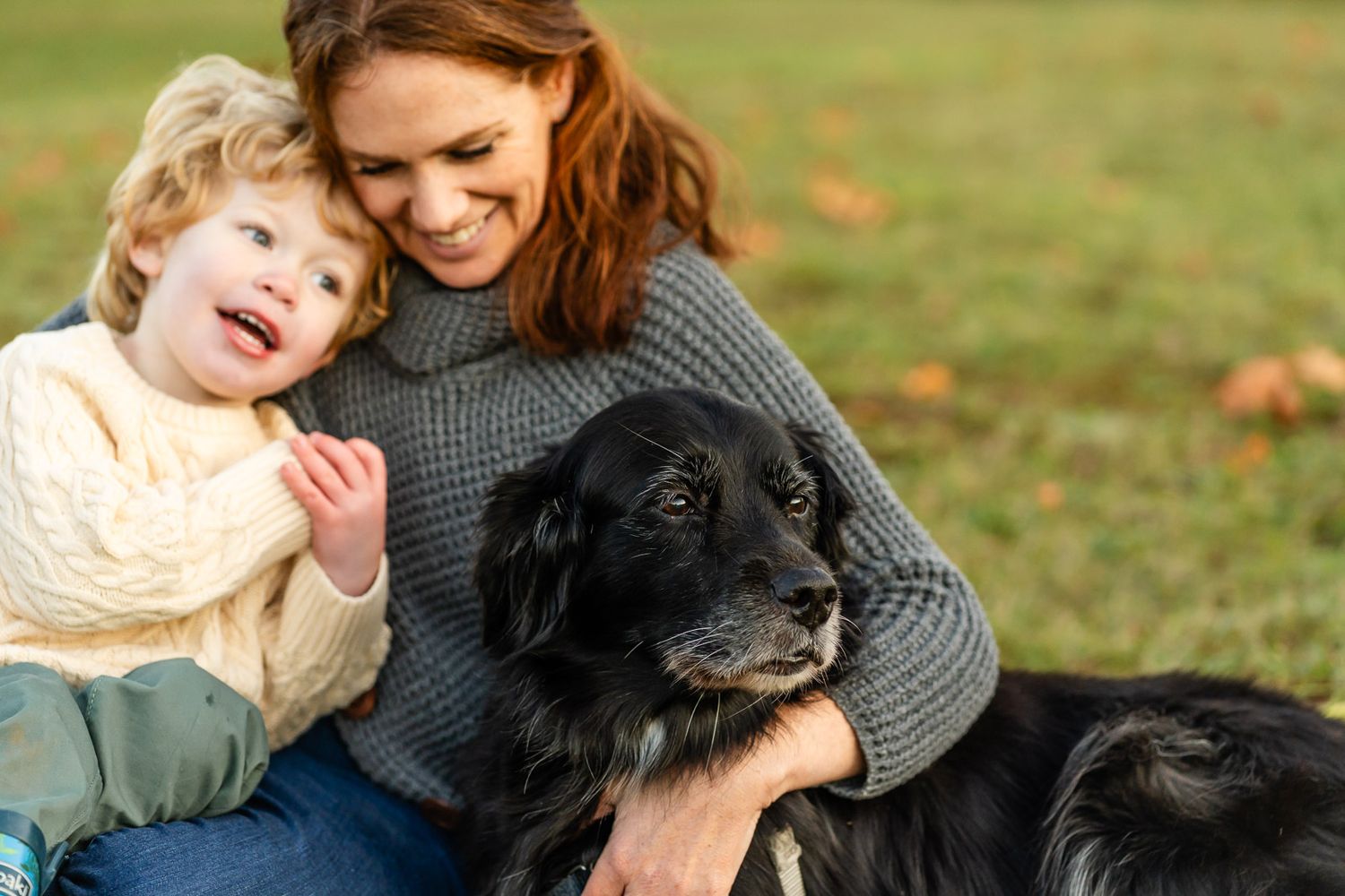Family photos with pets - Ling Ling Zheng Photography