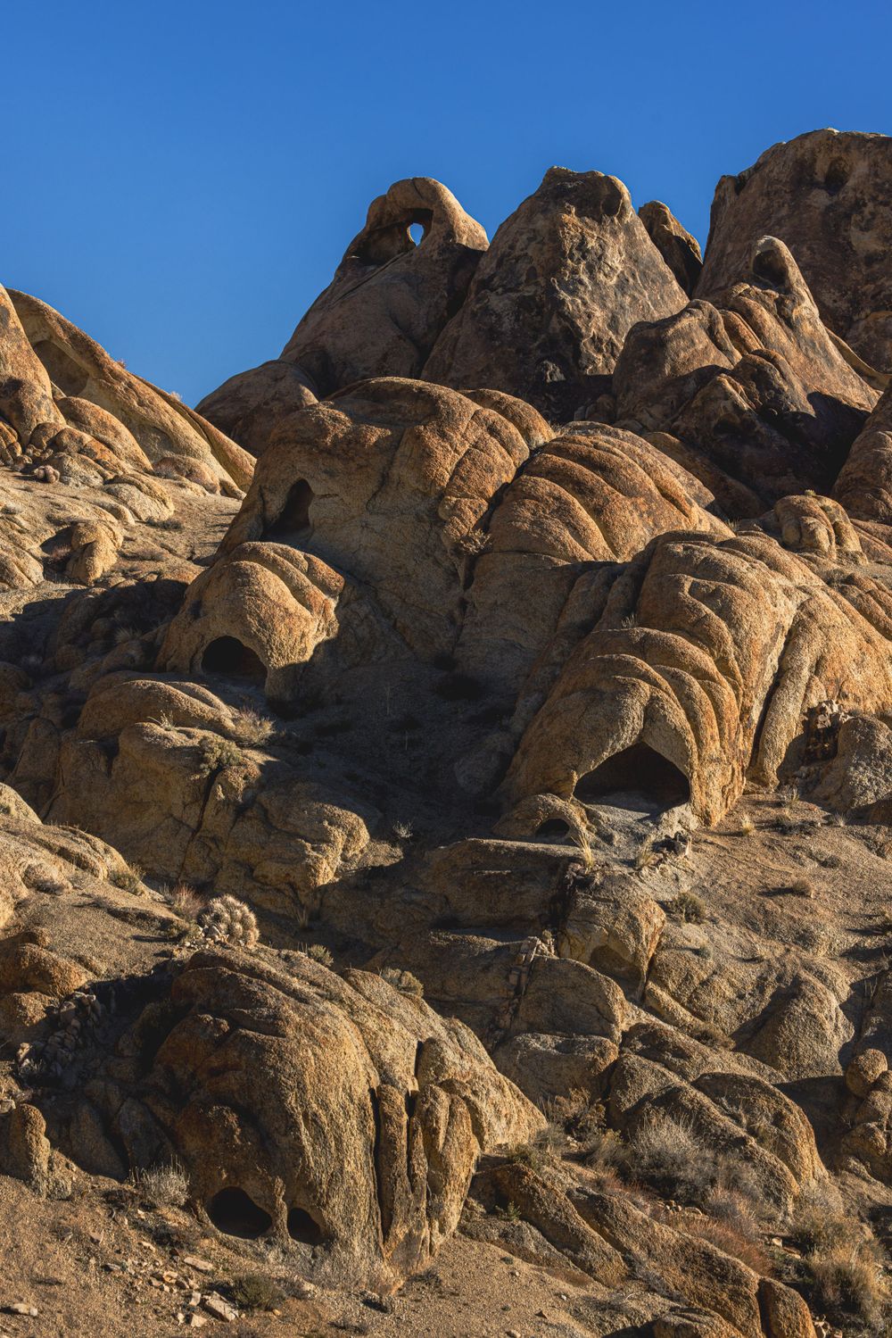 Alabama Hills, CA - ShutterDestruction
