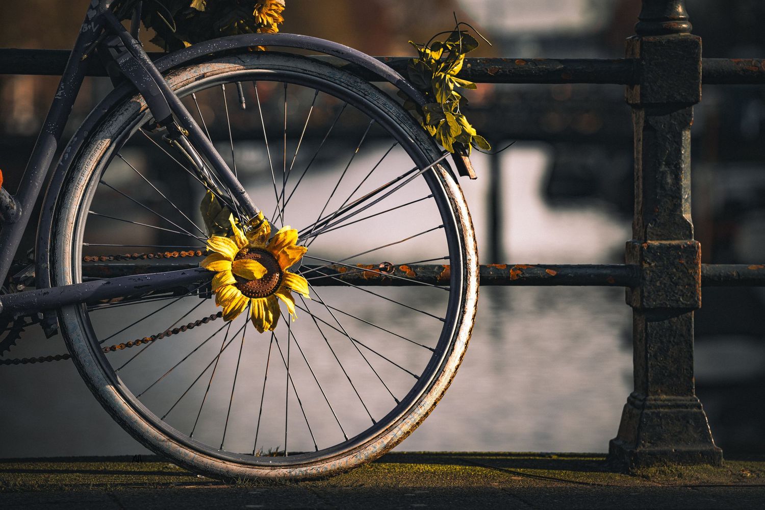 Contact - Andrew Hummel Photography