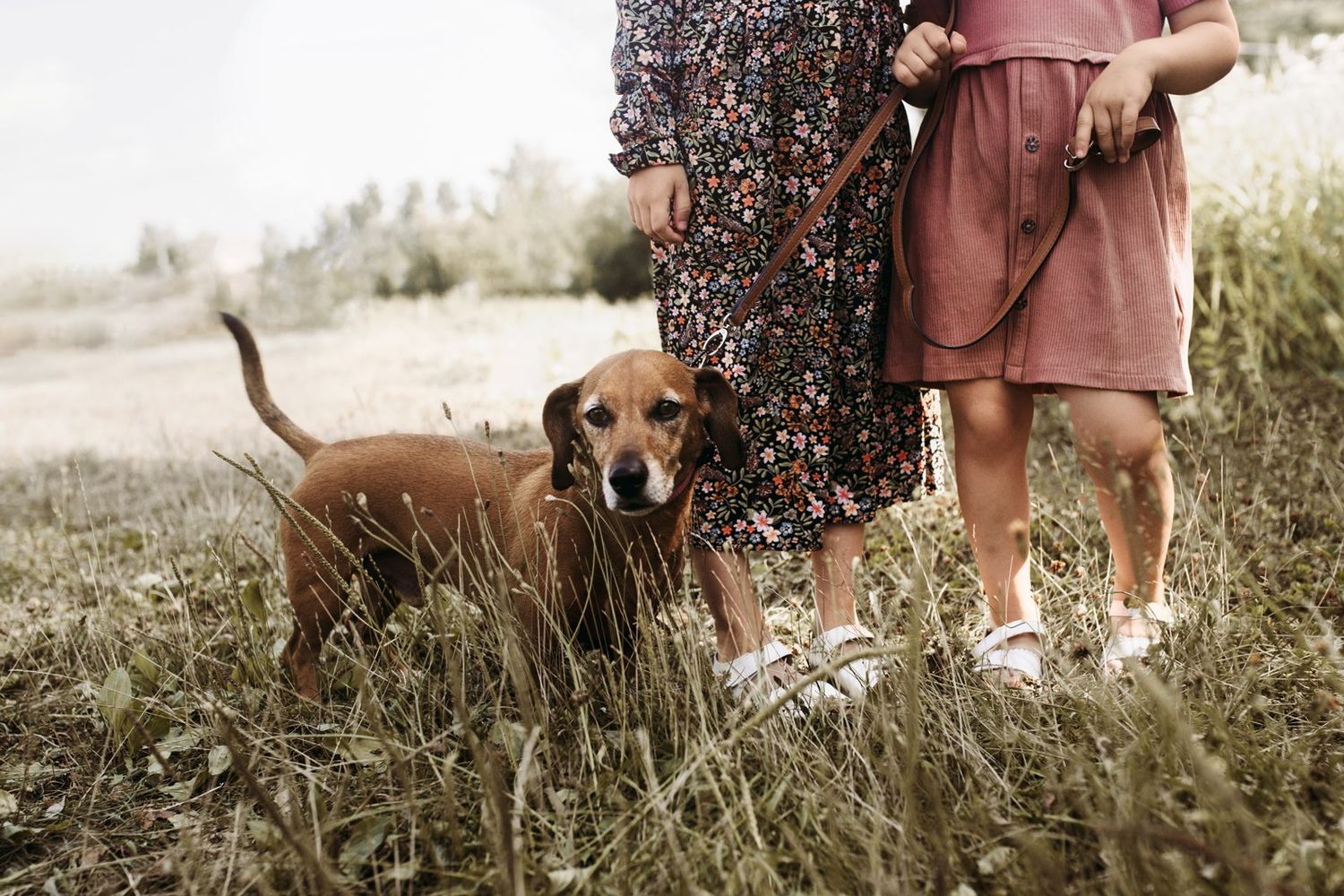 Photography - Koho Visuals