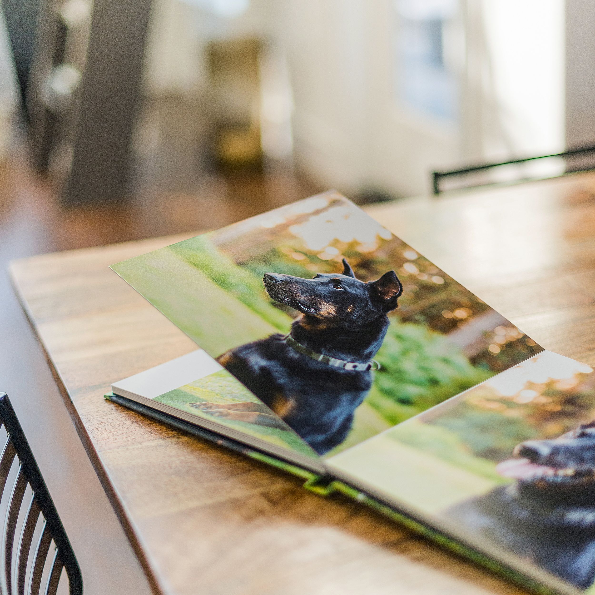 Tonya Perme Photography