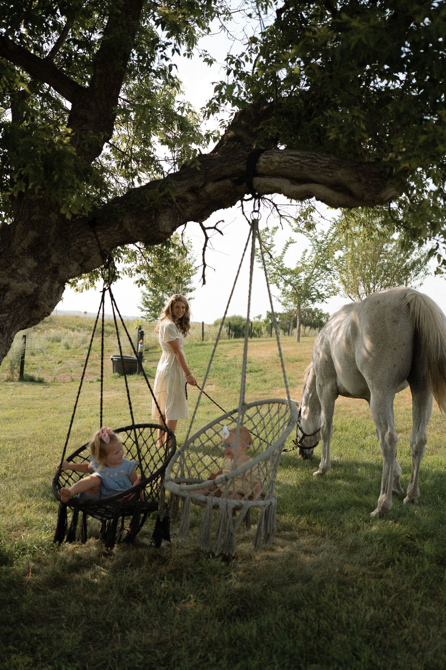 Contact - Lisa Fortney Photography | Minot, North Dakota and beyond