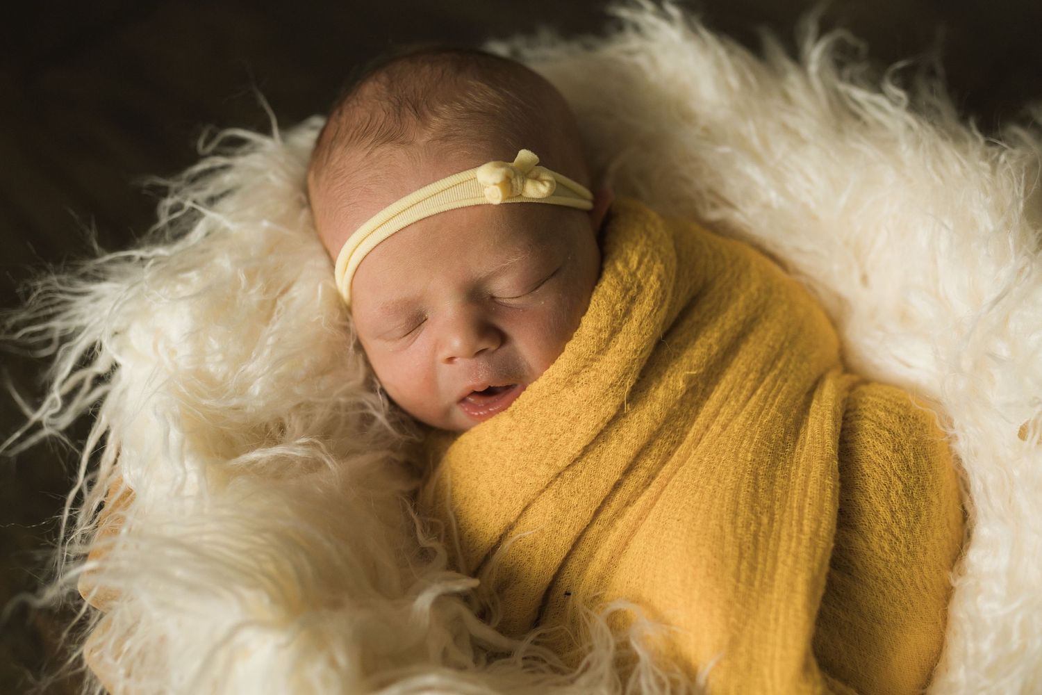 newborn - Tracy Pollard Photography