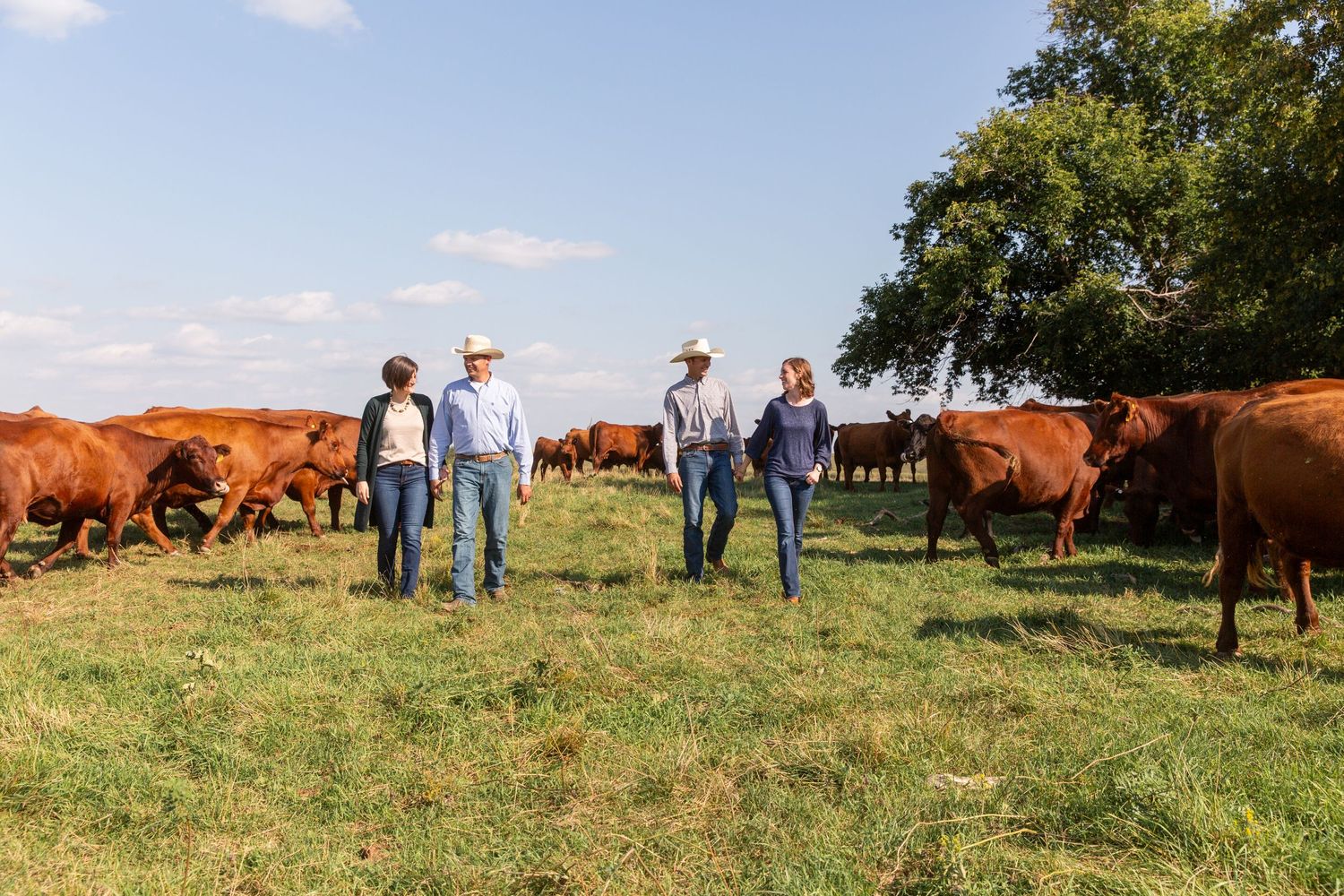 Ressler Land & Cattle - Anna Lemm-Wiegandt Photography