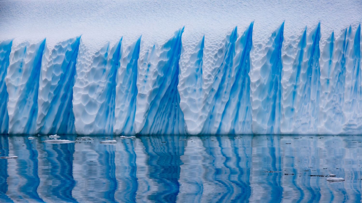 Maria Michael Photography