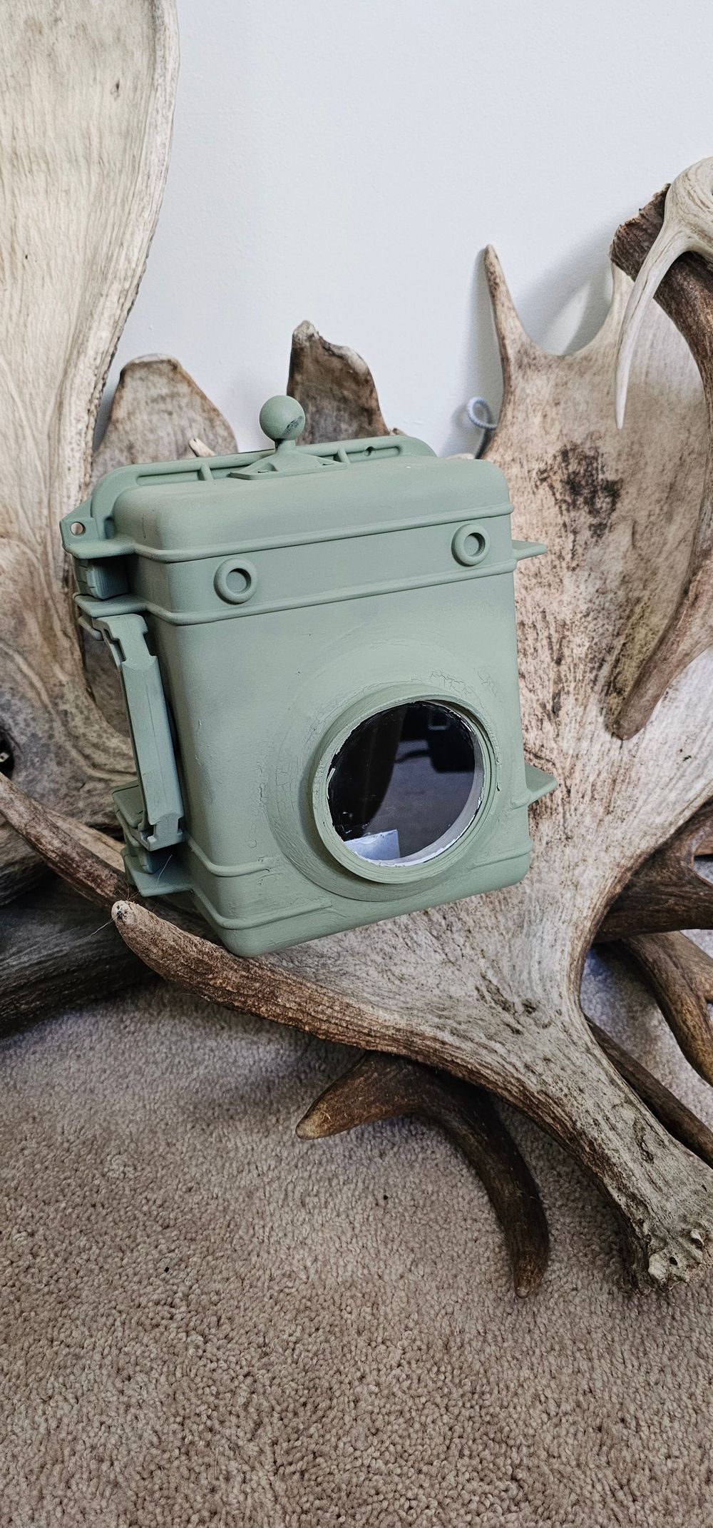 CAMERA TRAP SERVICES - Eisenhaur Photography