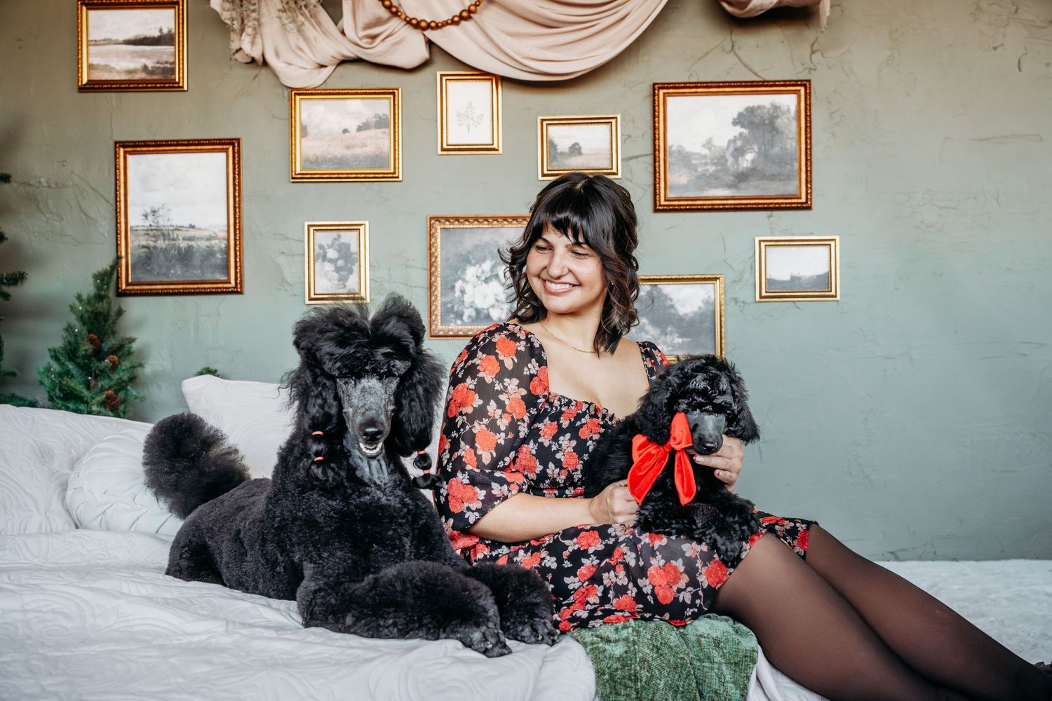 Photographing 8 Poodle Puppies - Buffalo, NY Dog & Pet Photographer ...