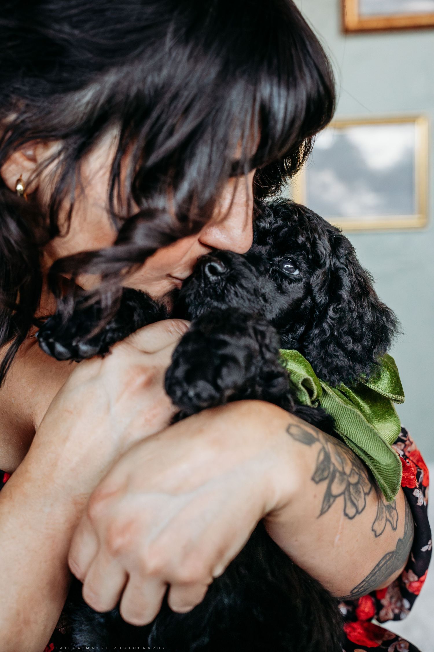 Photographing 8 Poodle Puppies - Buffalo, NY Dog & Pet Photographer ...