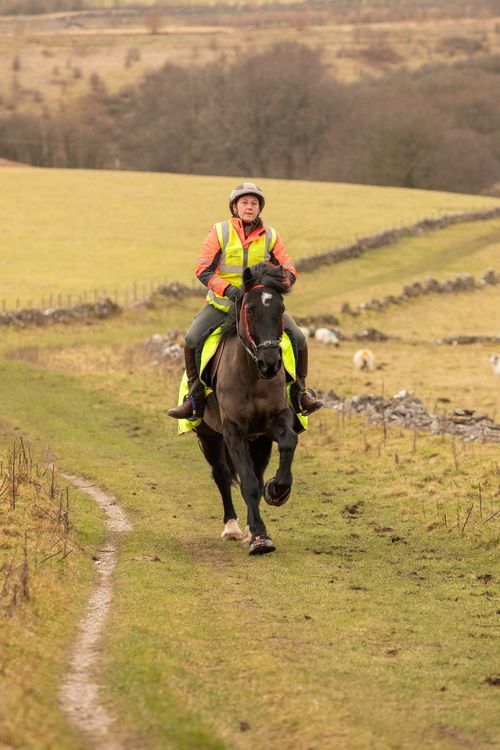Peak District Guided Horse Rides - Imogen Moon ABIPP - Equine & Dog ...