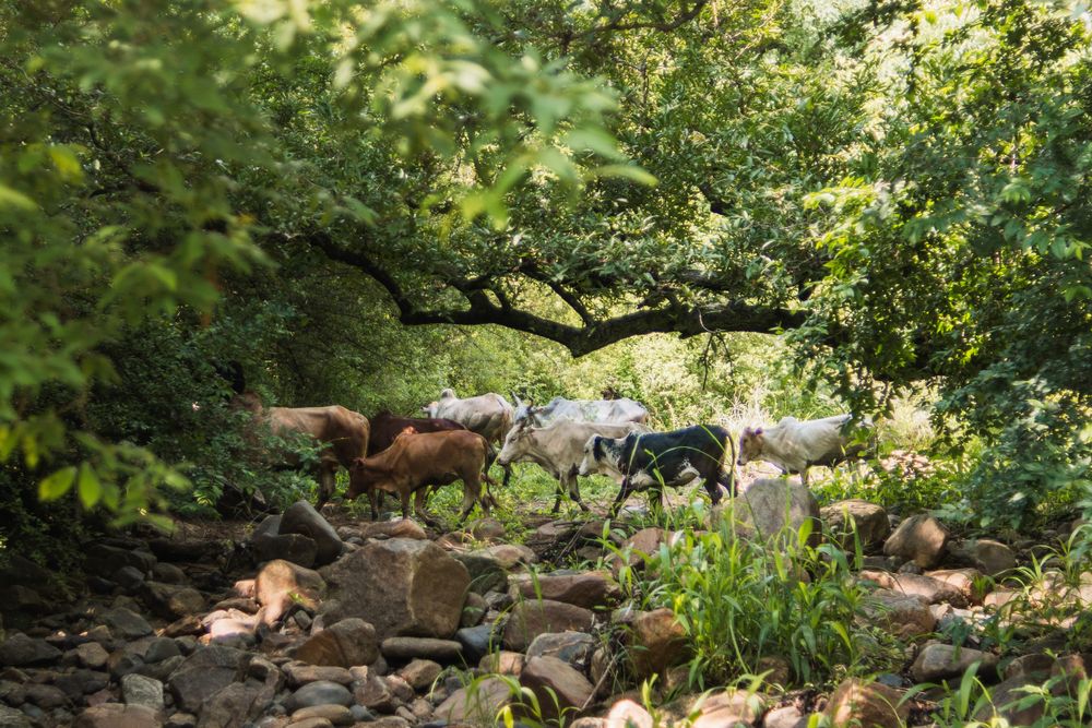 South Sudan - Joel Krahn Photography
