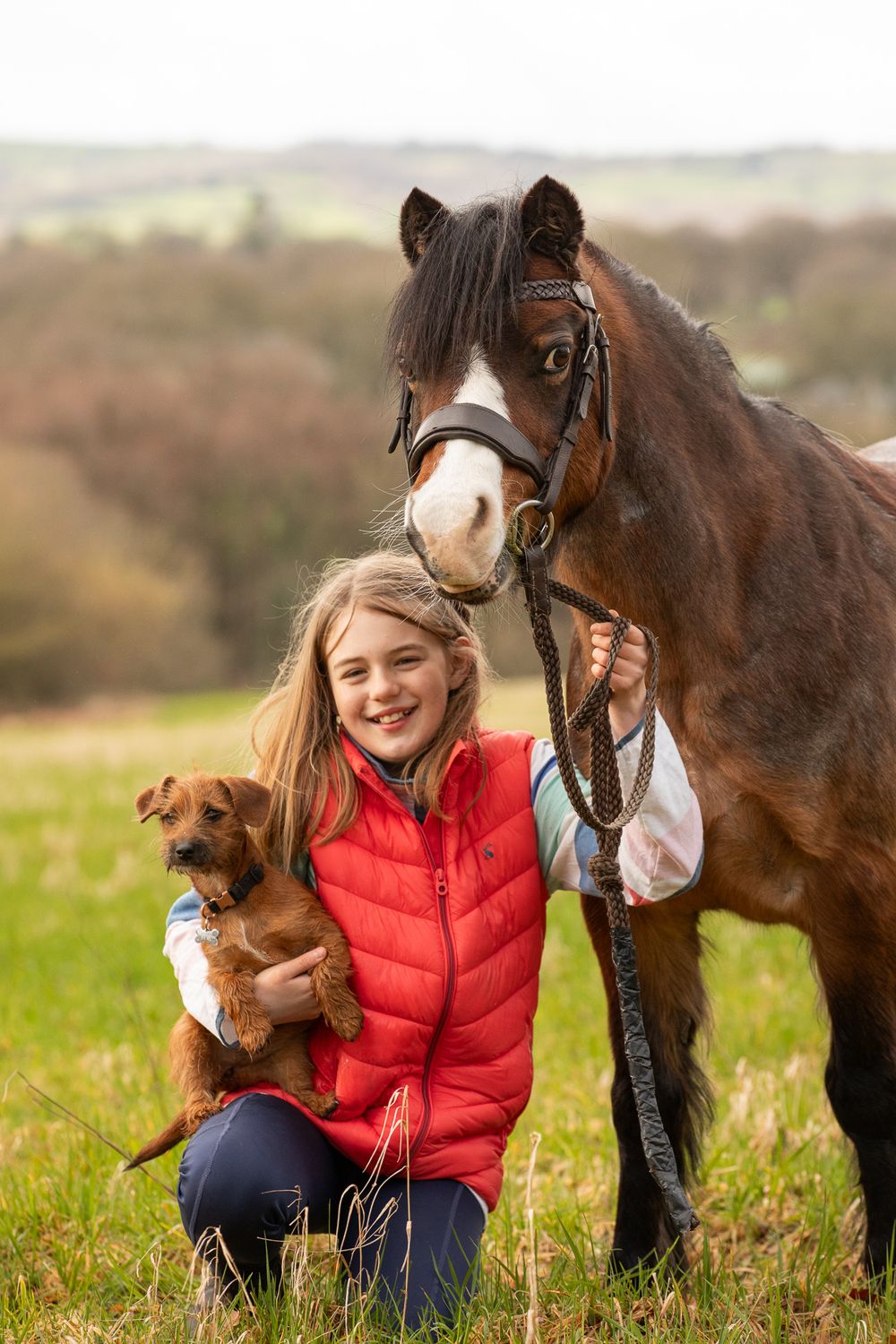 The Butler Family - Imogen Moon ABIPP - Equine & Dog Photographer In ...