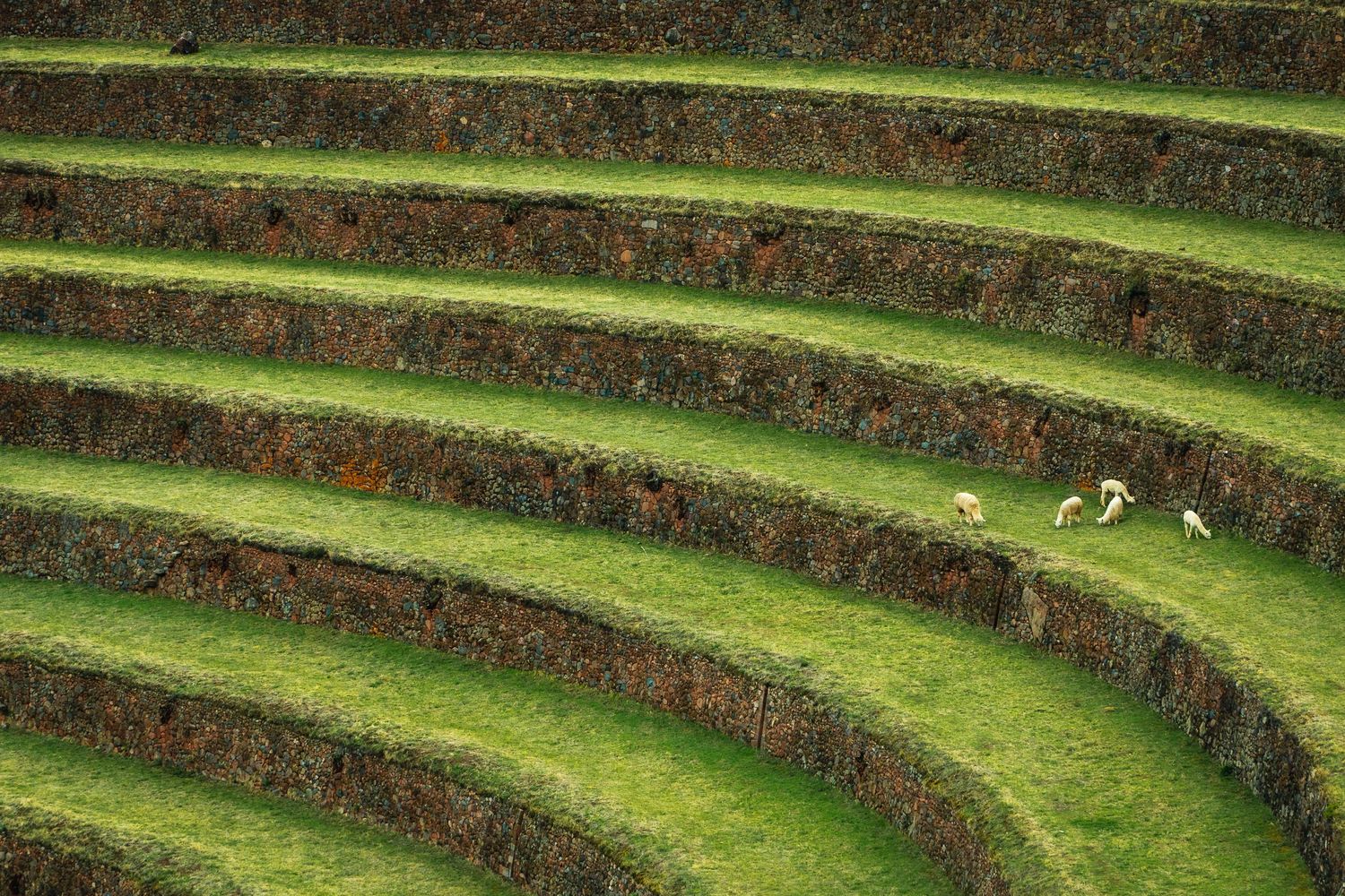 Portfolio - Eric Newcombe