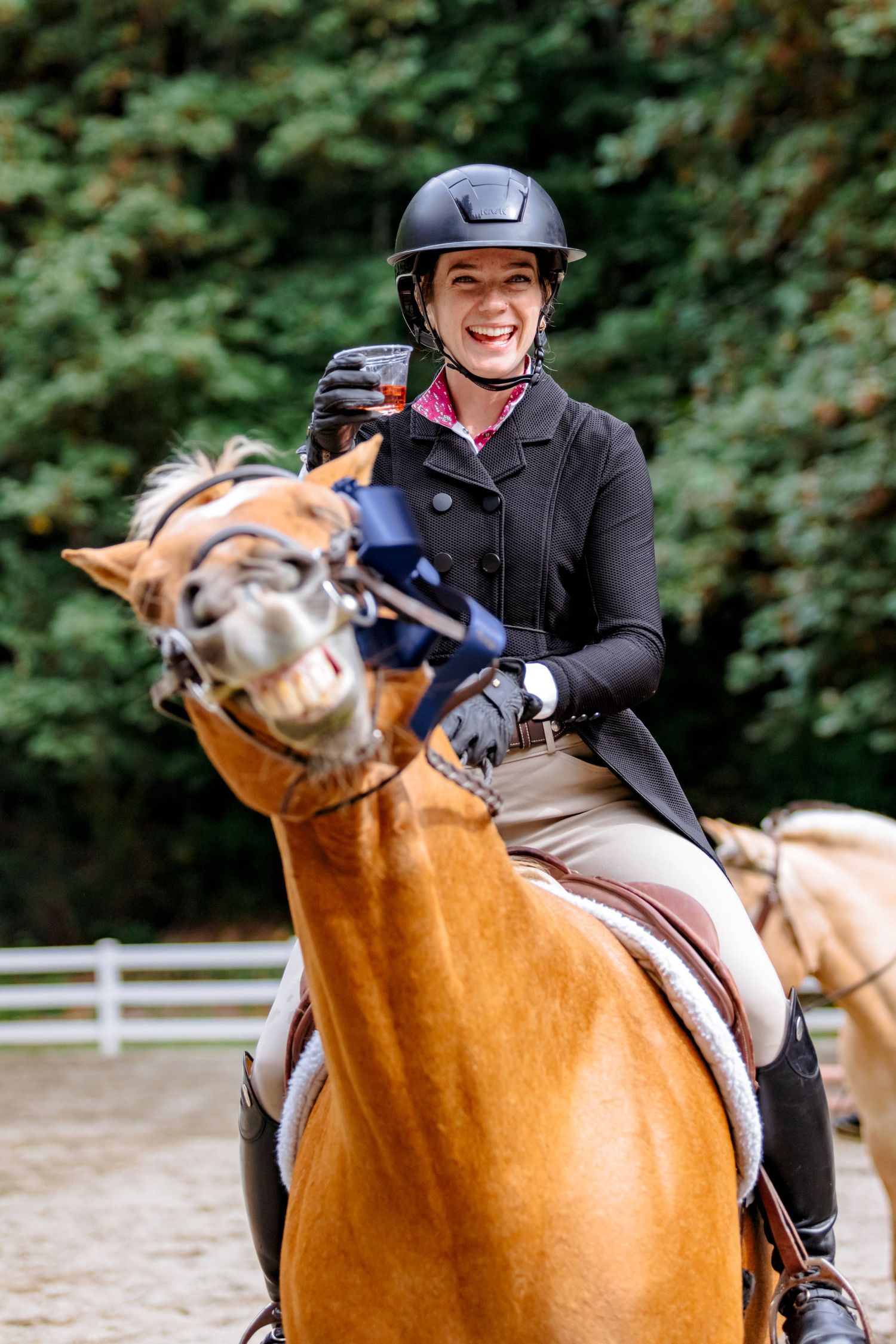 Horse Show Galleries - Elliott Ralph Photography