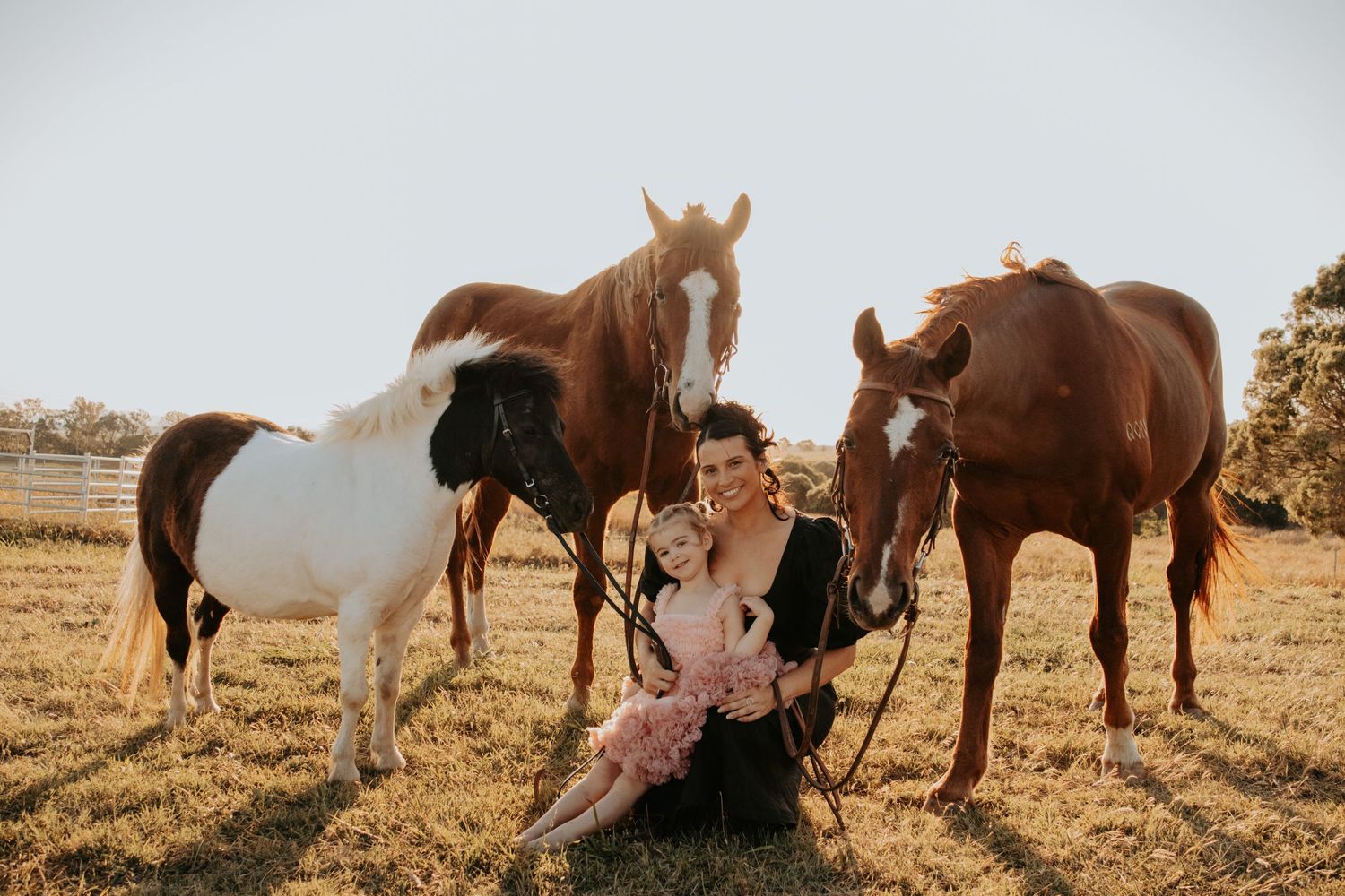 Pricing - ALT Photography