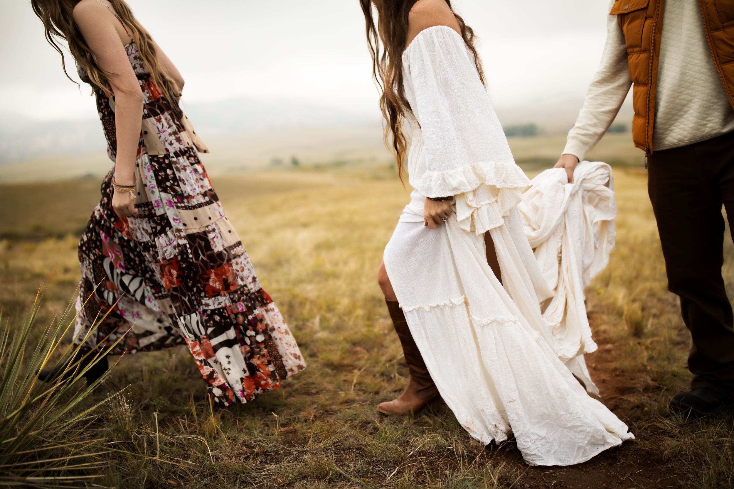 My Four Hens Photography